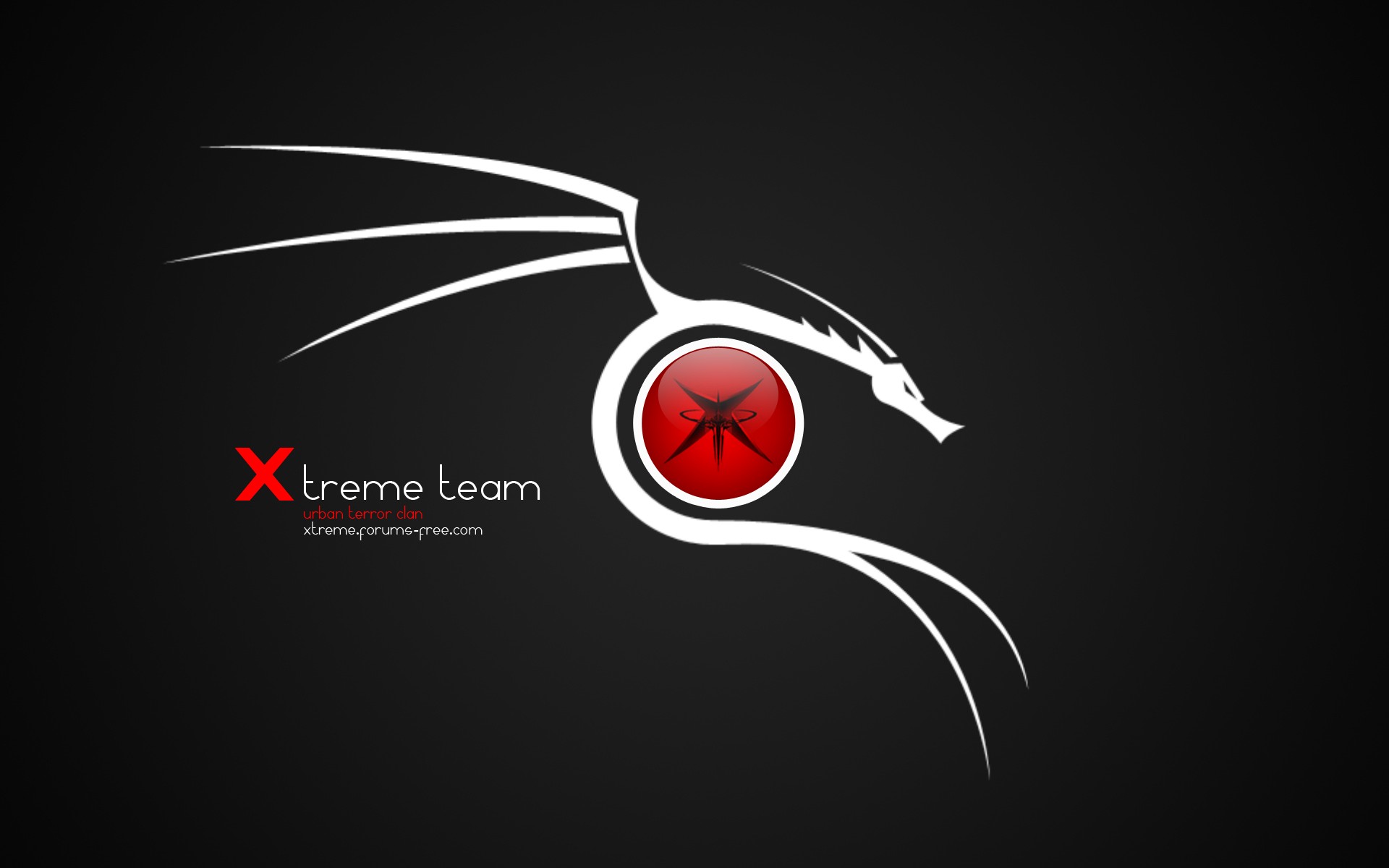 Wallpaper - Kali Linux Light 2018.2 - 1920x1200 Wallpaper - teahub.io