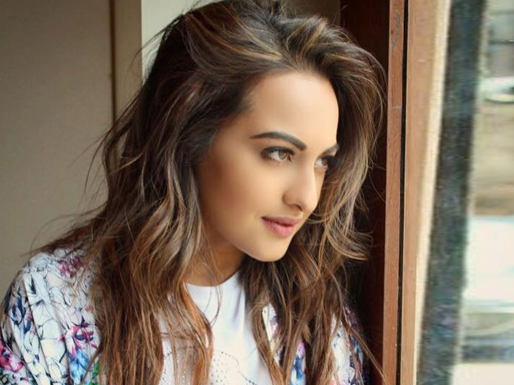 Sonakshi Sinha - 1024x768 Wallpaper - teahub.io