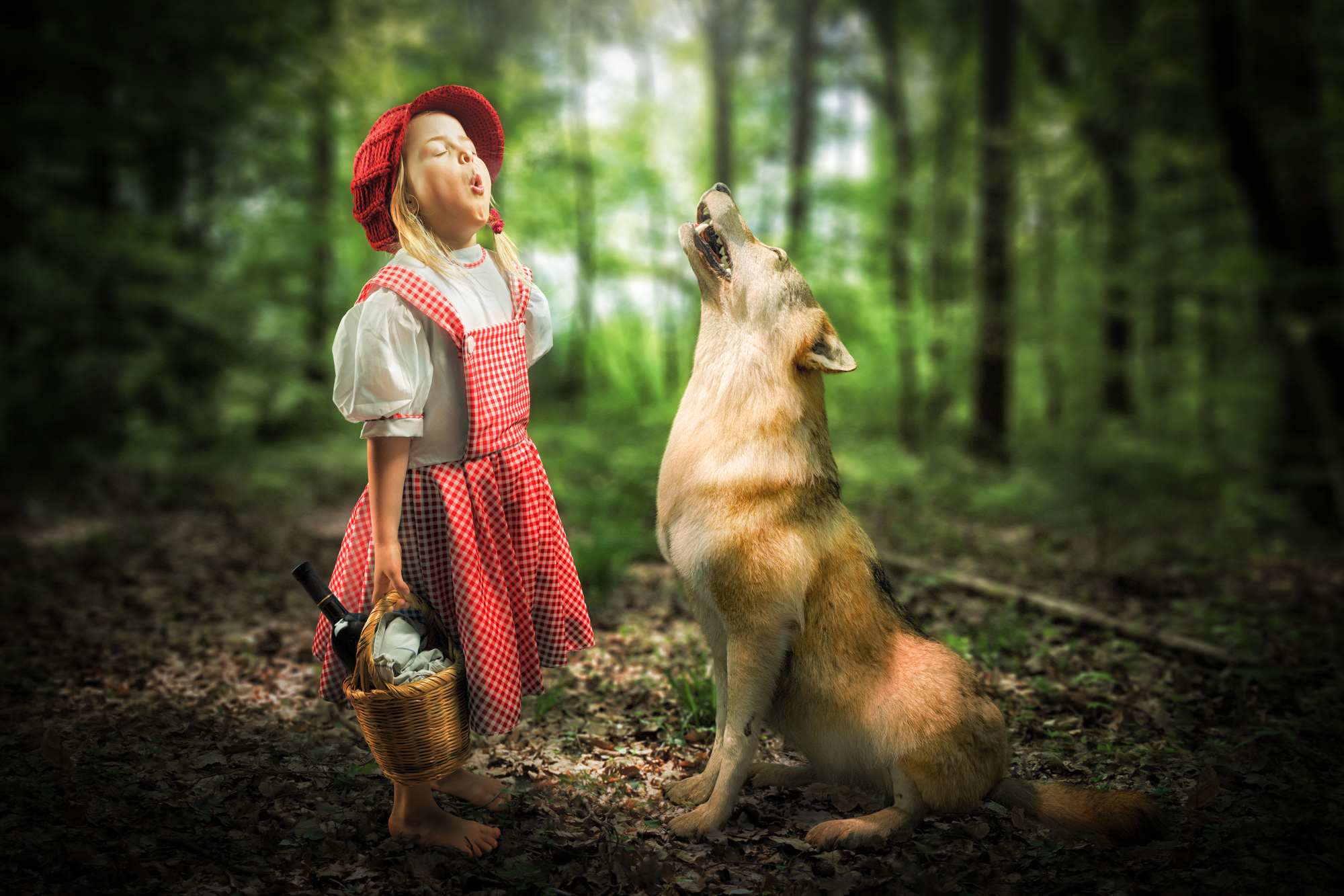 Downloaded From Allhdwallpapers - Swift Fox - 2000x1333 Wallpaper ...