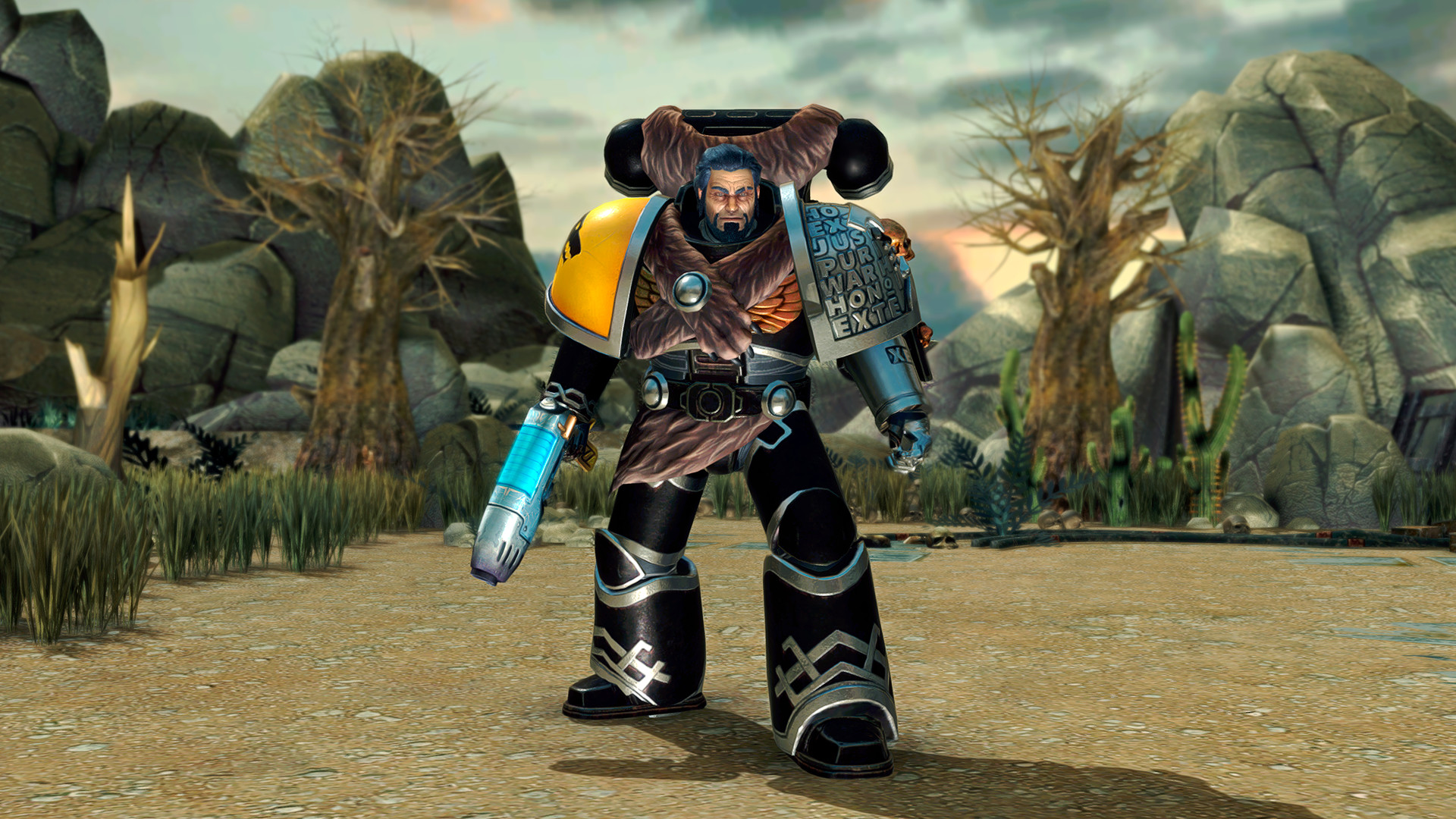 Space Wolves Wallpaper