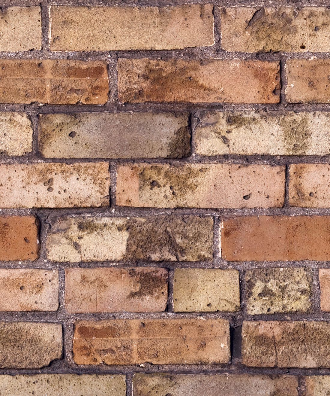Exposed Brick - 1100x1318 Wallpaper - teahub.io