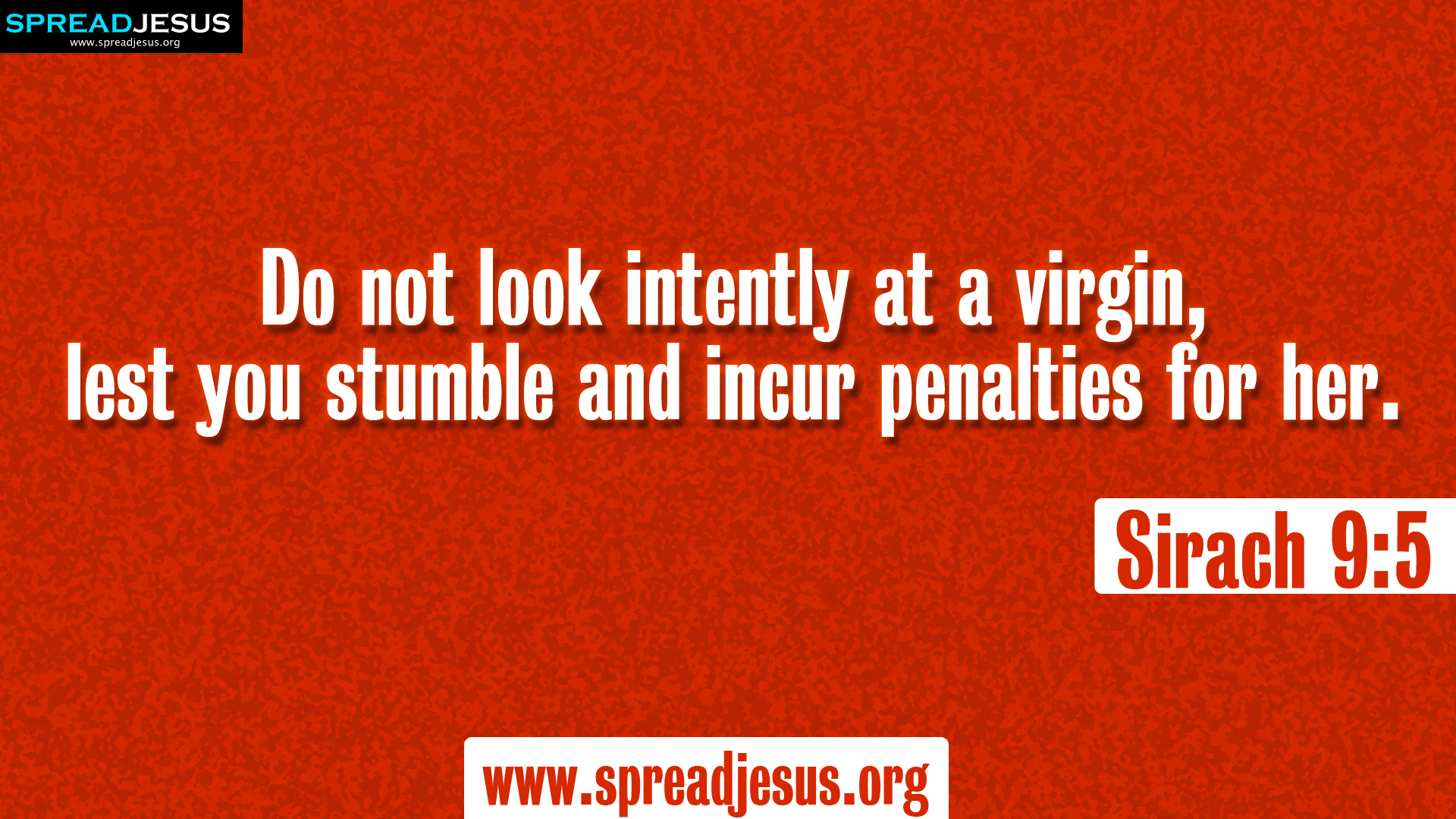 Bible Quotes Sirach - 1920x1080 Wallpaper - teahub.io