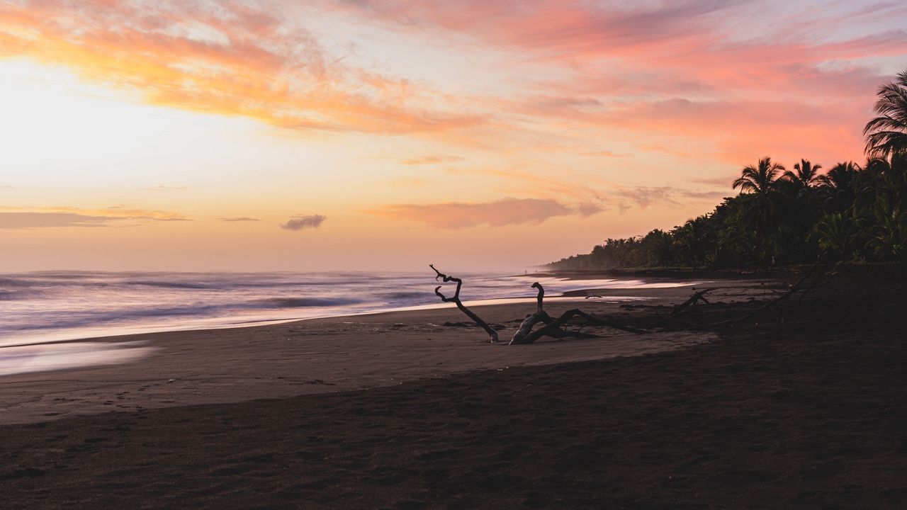 Wallpaper Sea, Beach, Branches, Dusk, Nature - Beach Ridge - 1280x720 ...