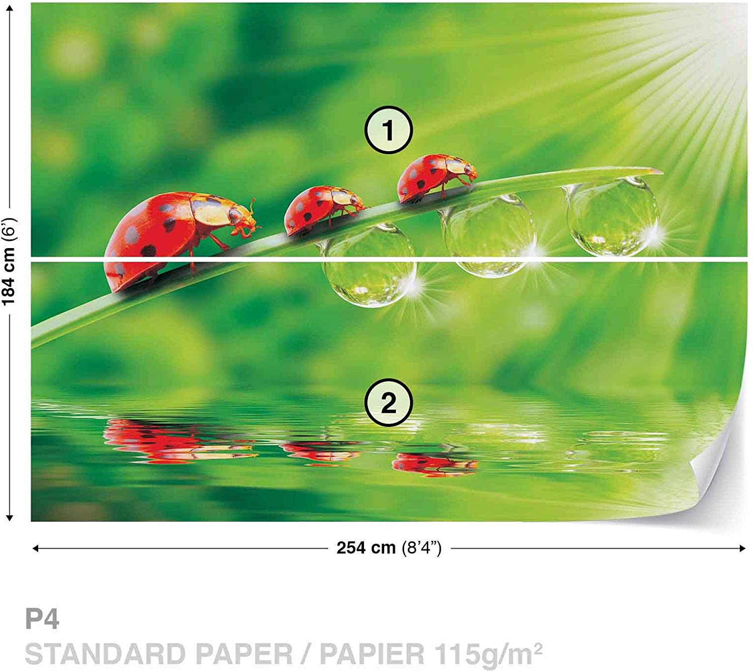 Spiritual Message For Today - 1500x1338 Wallpaper - teahub.io