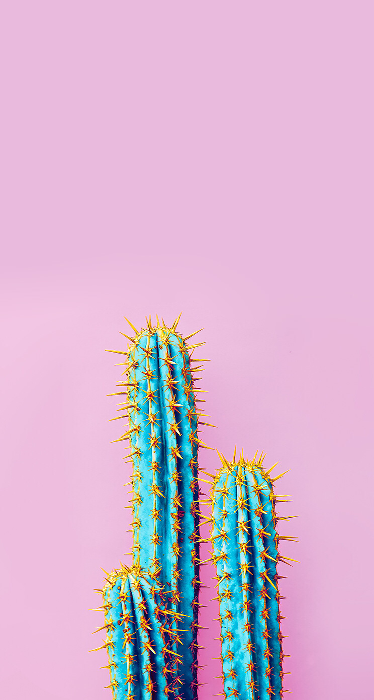 Neon Cactus - 744x1392 Wallpaper - teahub.io