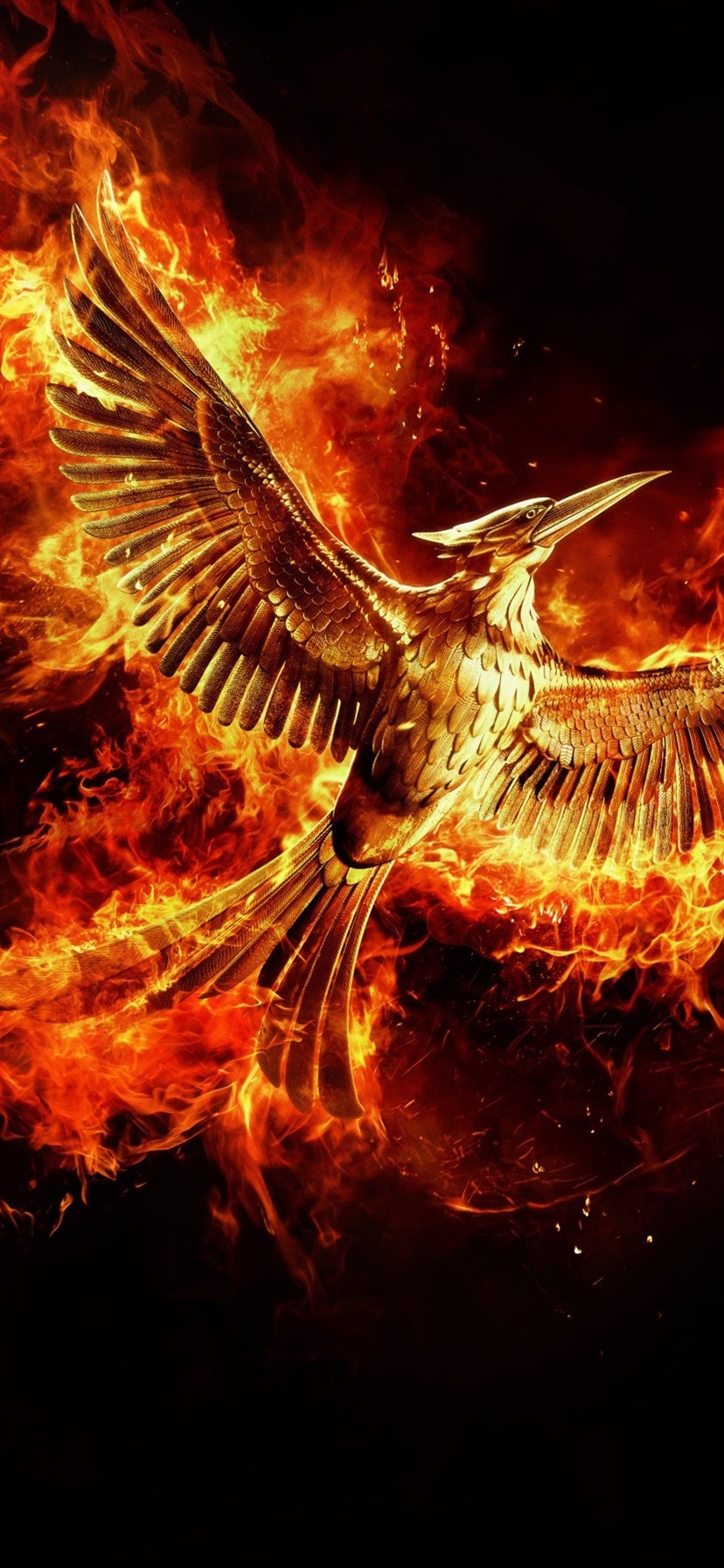 Fire Bird - 828x1792 Wallpaper - teahub.io