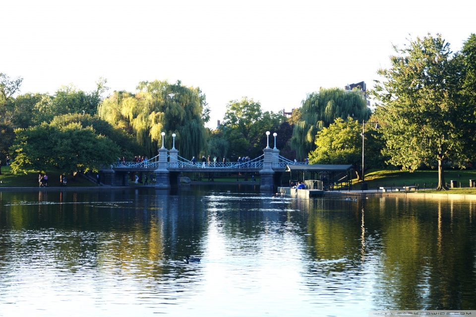 Mobile Phone - 960x640 Wallpaper - teahub.io