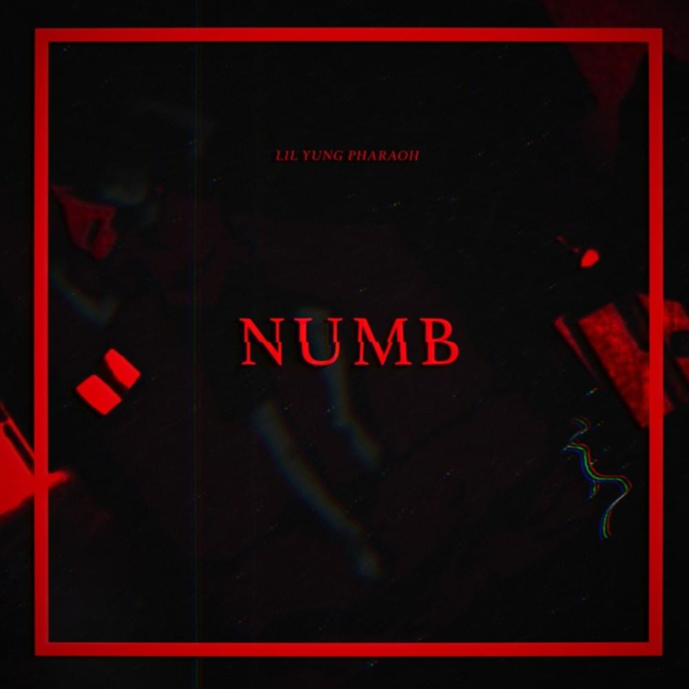 Numb - 1000x1000 Wallpaper - teahub.io