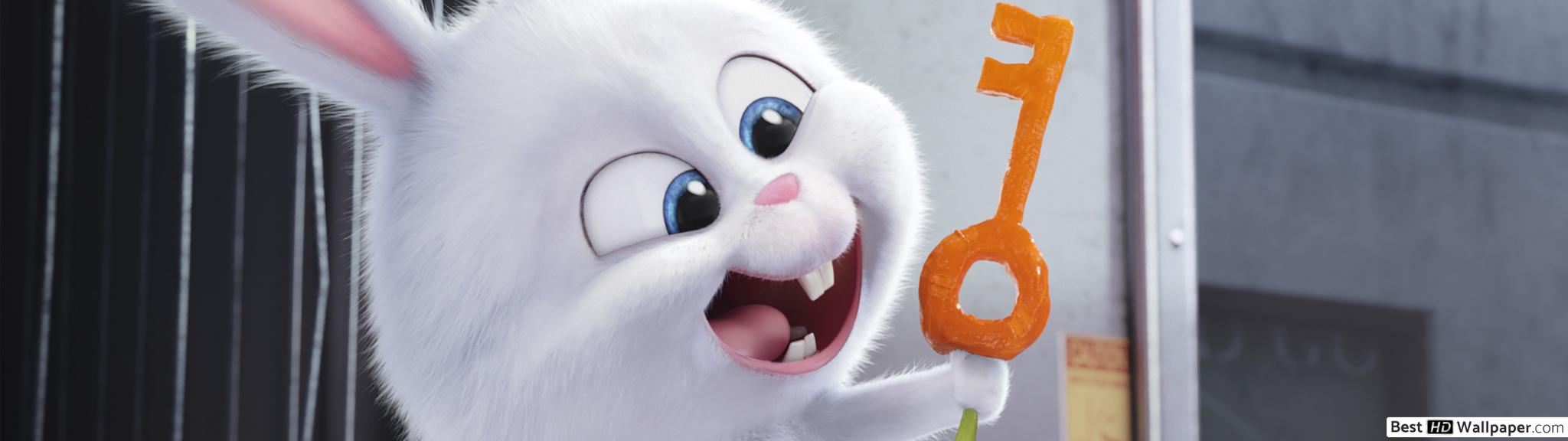 Snowball The Secret Life Of Pets - 2048x576 Wallpaper - teahub.io