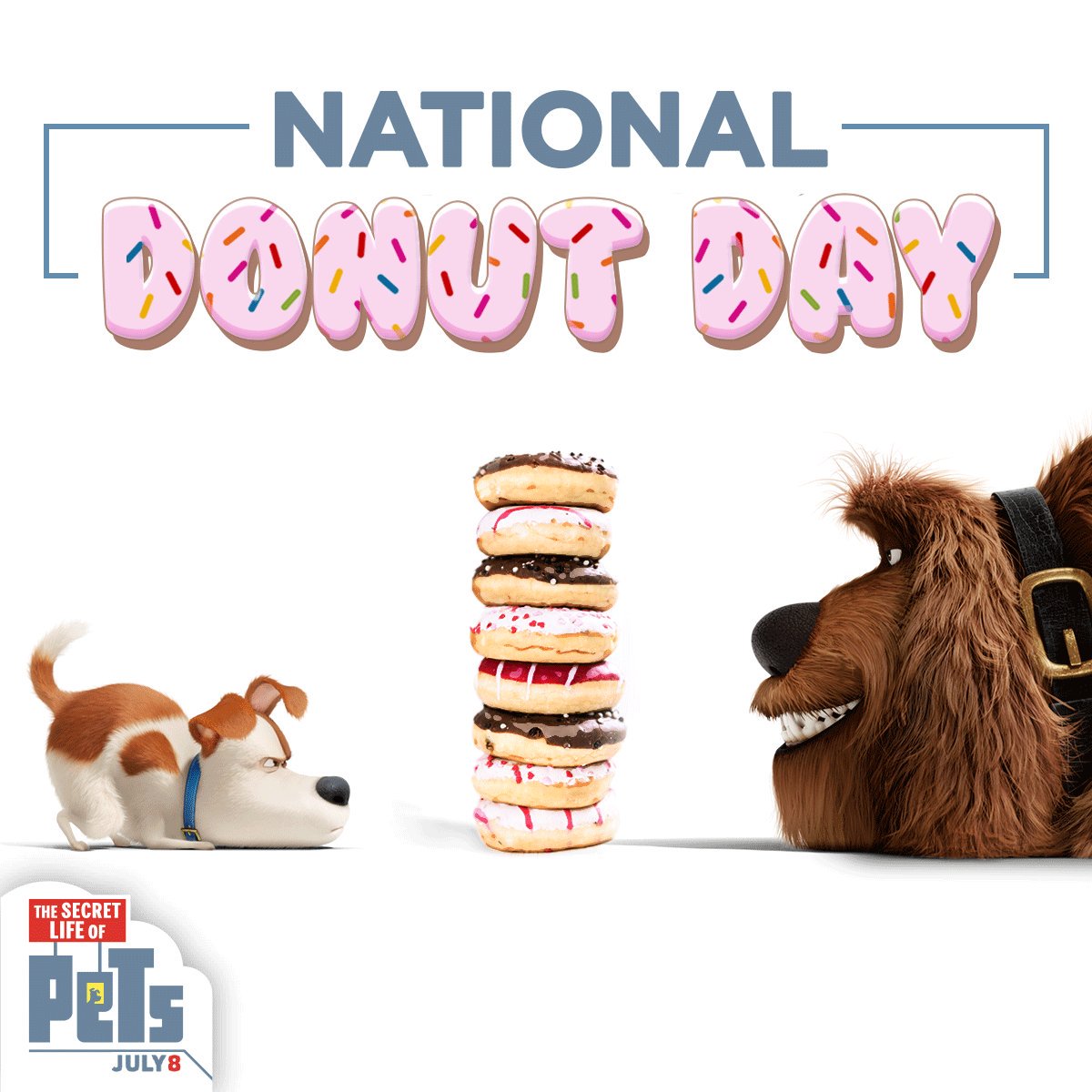 Secret Life Of Pets Human Duke - 1200x1200 Wallpaper - teahub.io