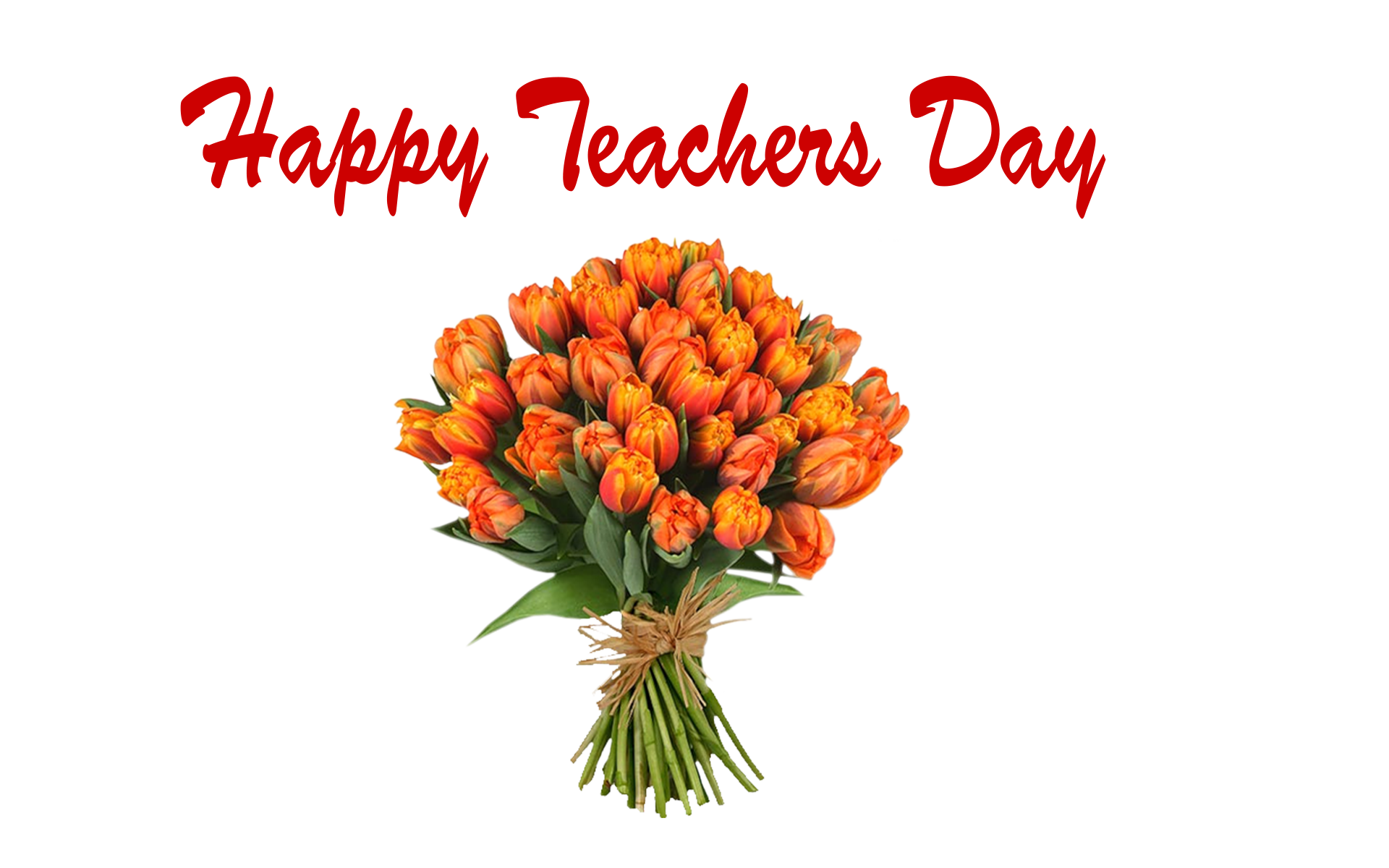 Teachers Day 2018 Png Happy Teachers Day 2018 1920x1200 Wallpaper