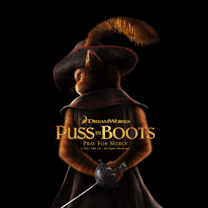 Puss In Boots Movie Poster - 800x800 Wallpaper - teahub.io