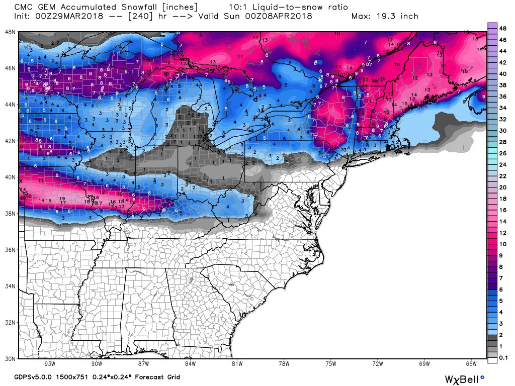 Slash Pine - 1024x768 Wallpaper - teahub.io