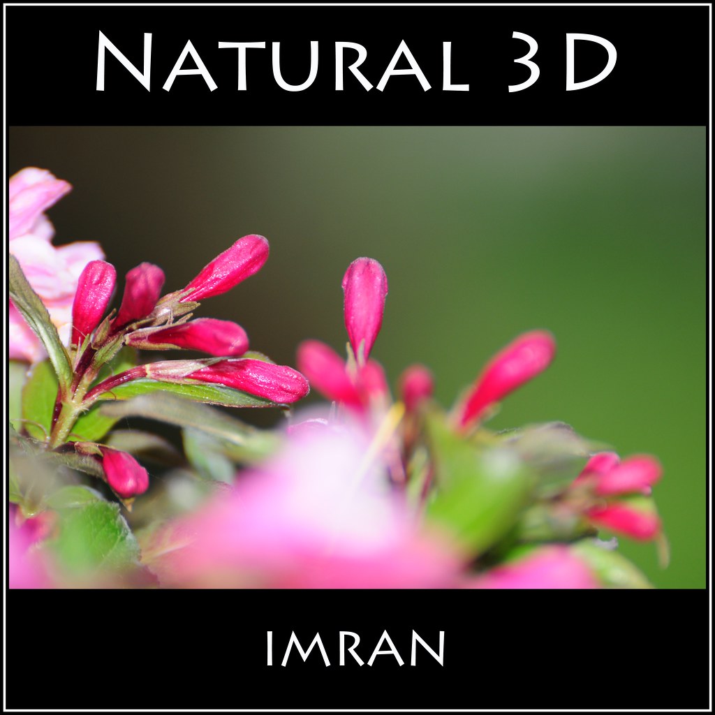 Imran Name Wallpaper Flower - 1024x1024 Wallpaper - teahub.io