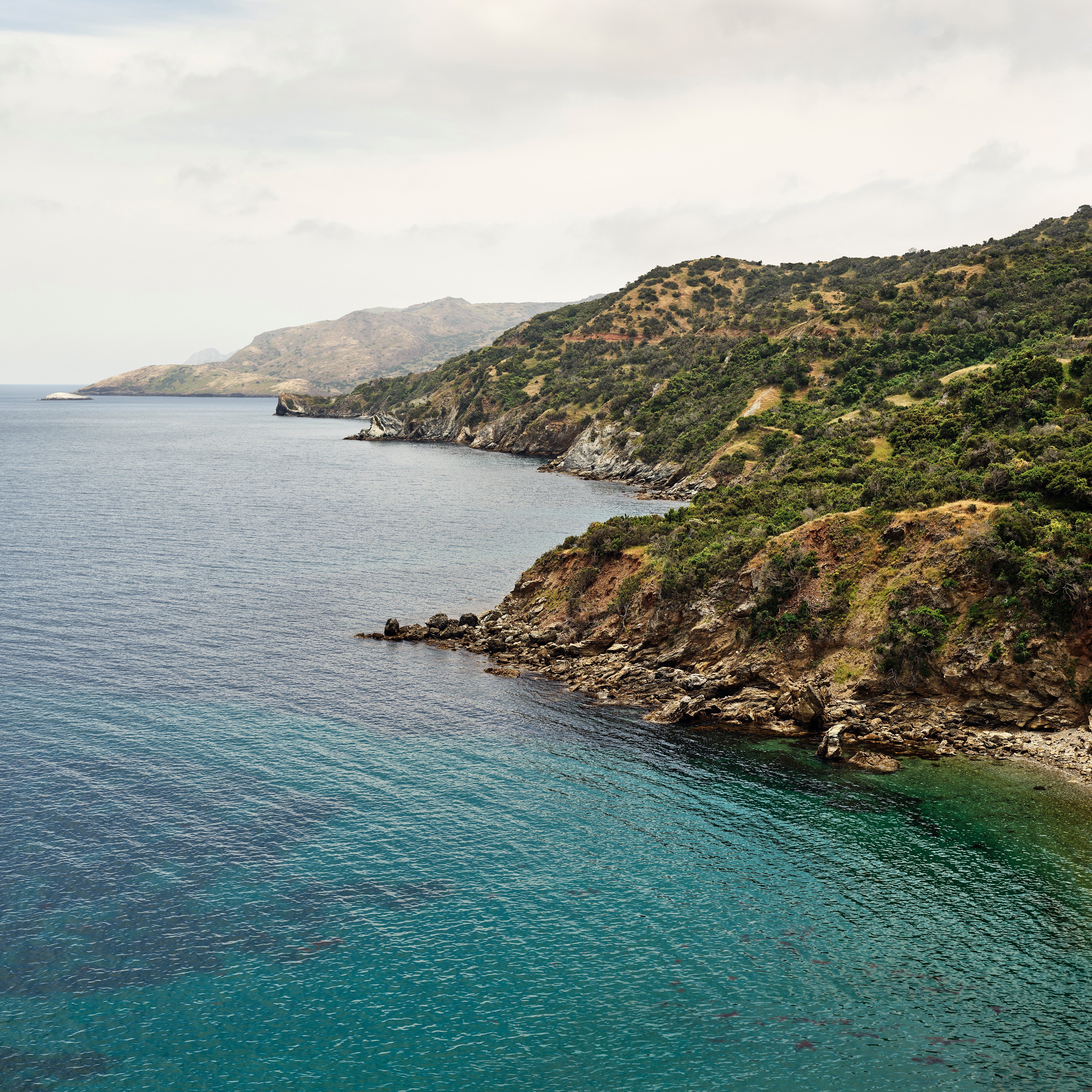 Mac Os Catalina Background - 6016x6016 Wallpaper - teahub.io