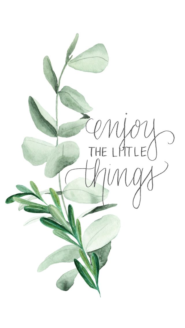 Calligraphy Quotes Wallpaper - 640x1136 Wallpaper - teahub.io