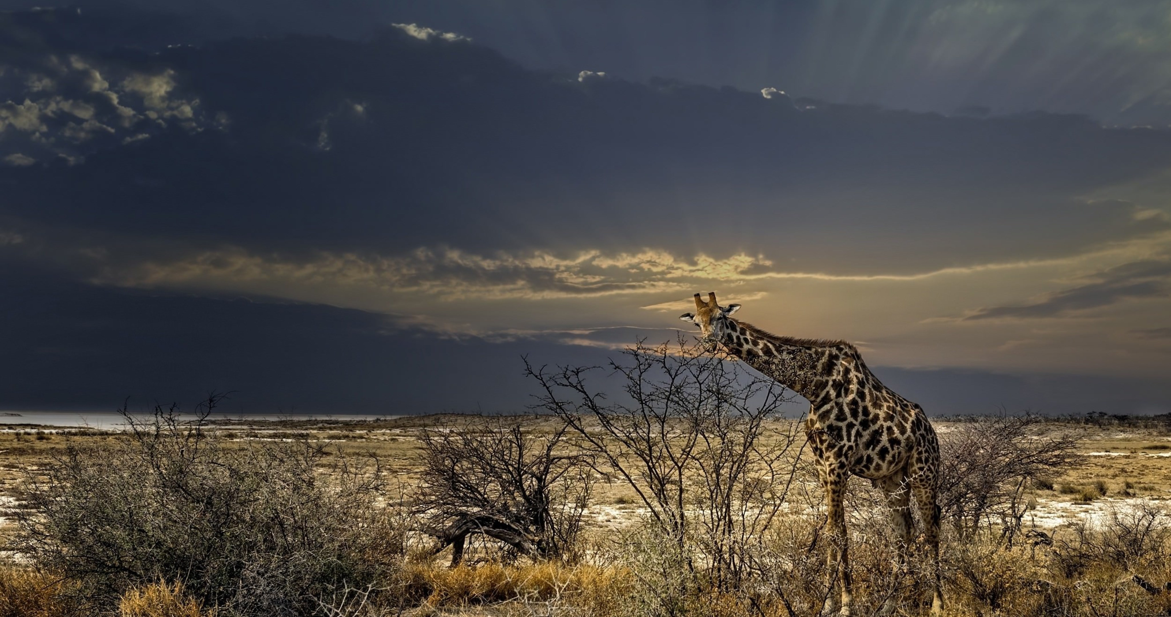 Great Big Canvas 4096x2160 Wallpaper Teahub io Great Big Canvas 4096x2160 Wallpaper Teahub io