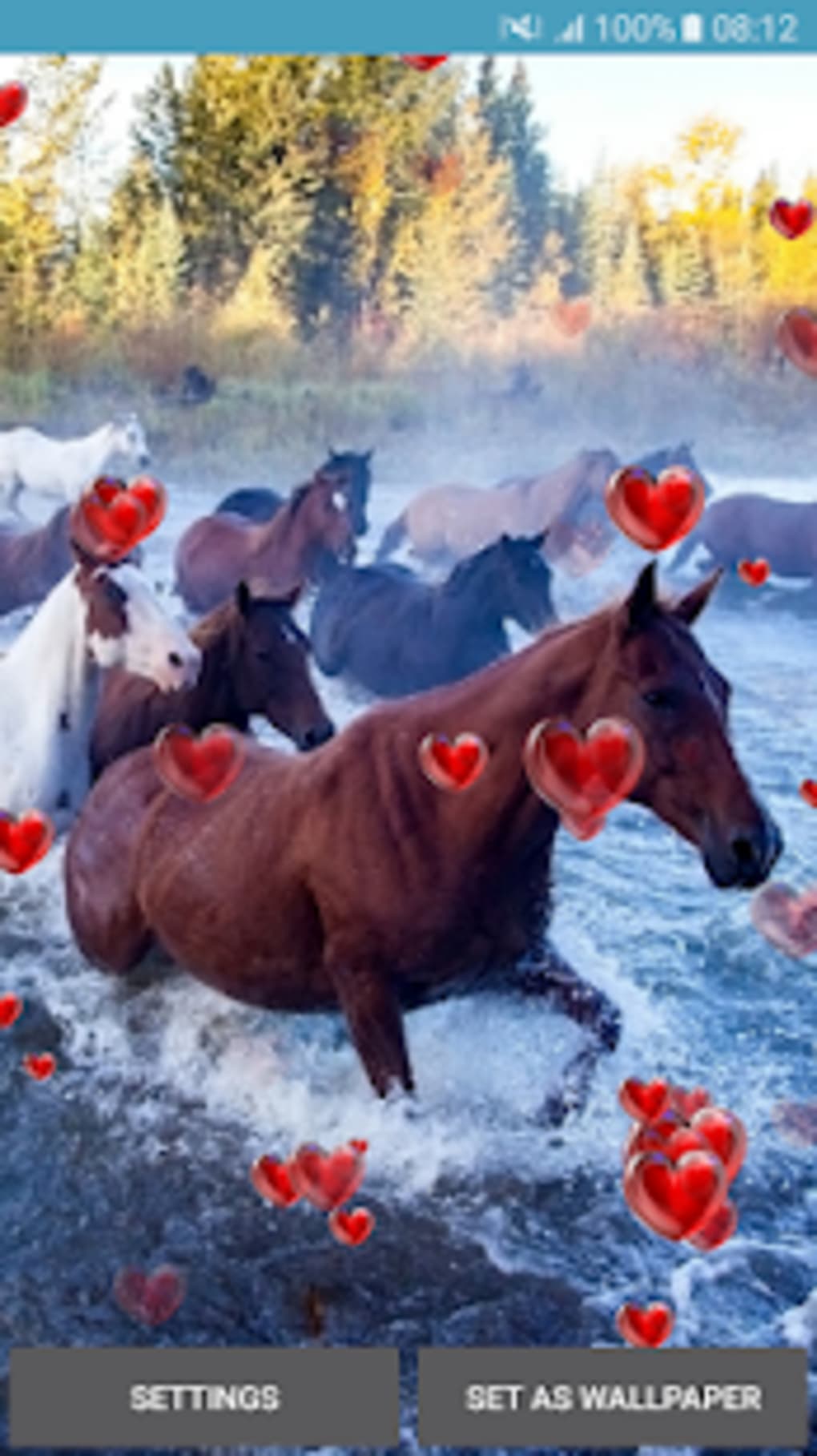 Deer Live Wallpaper - 1020x1817 Wallpaper - teahub.io