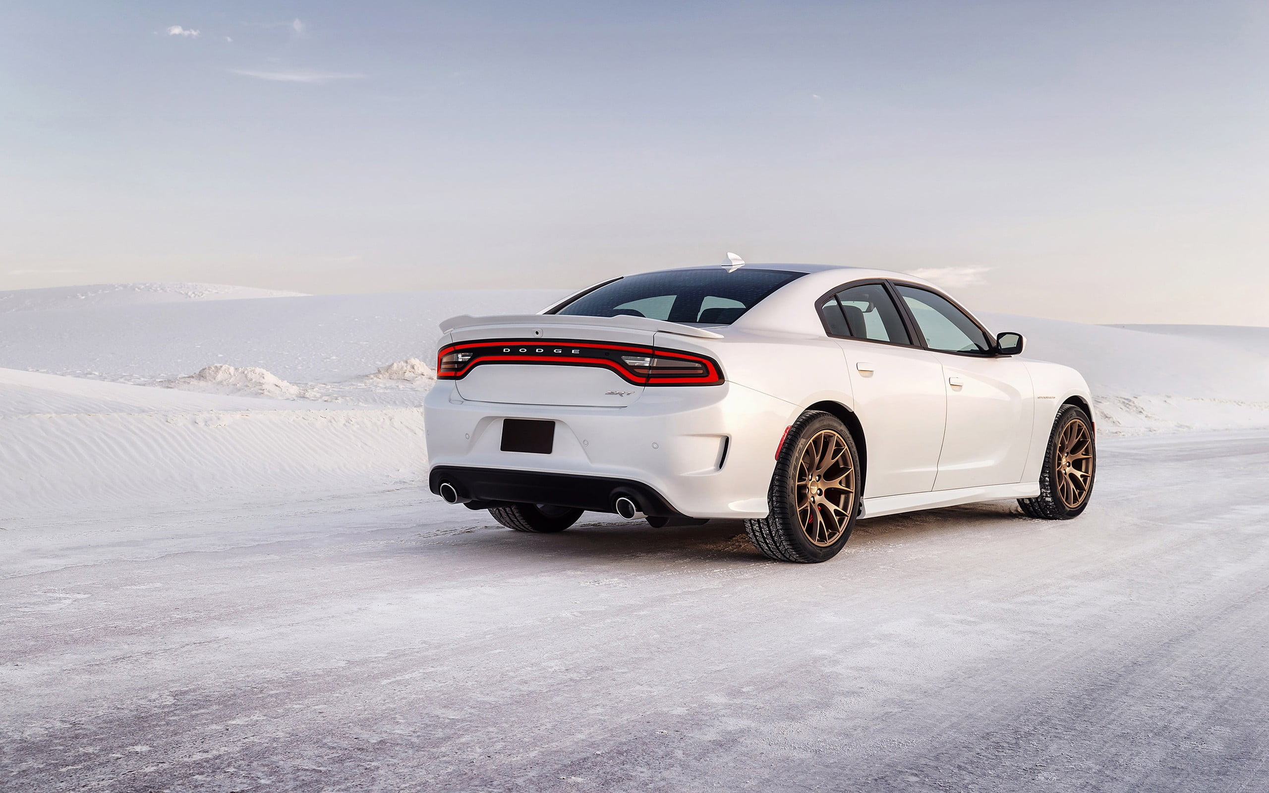 Dodge Charger Hellcat Rear - 2560x1600 Wallpaper - teahub.io