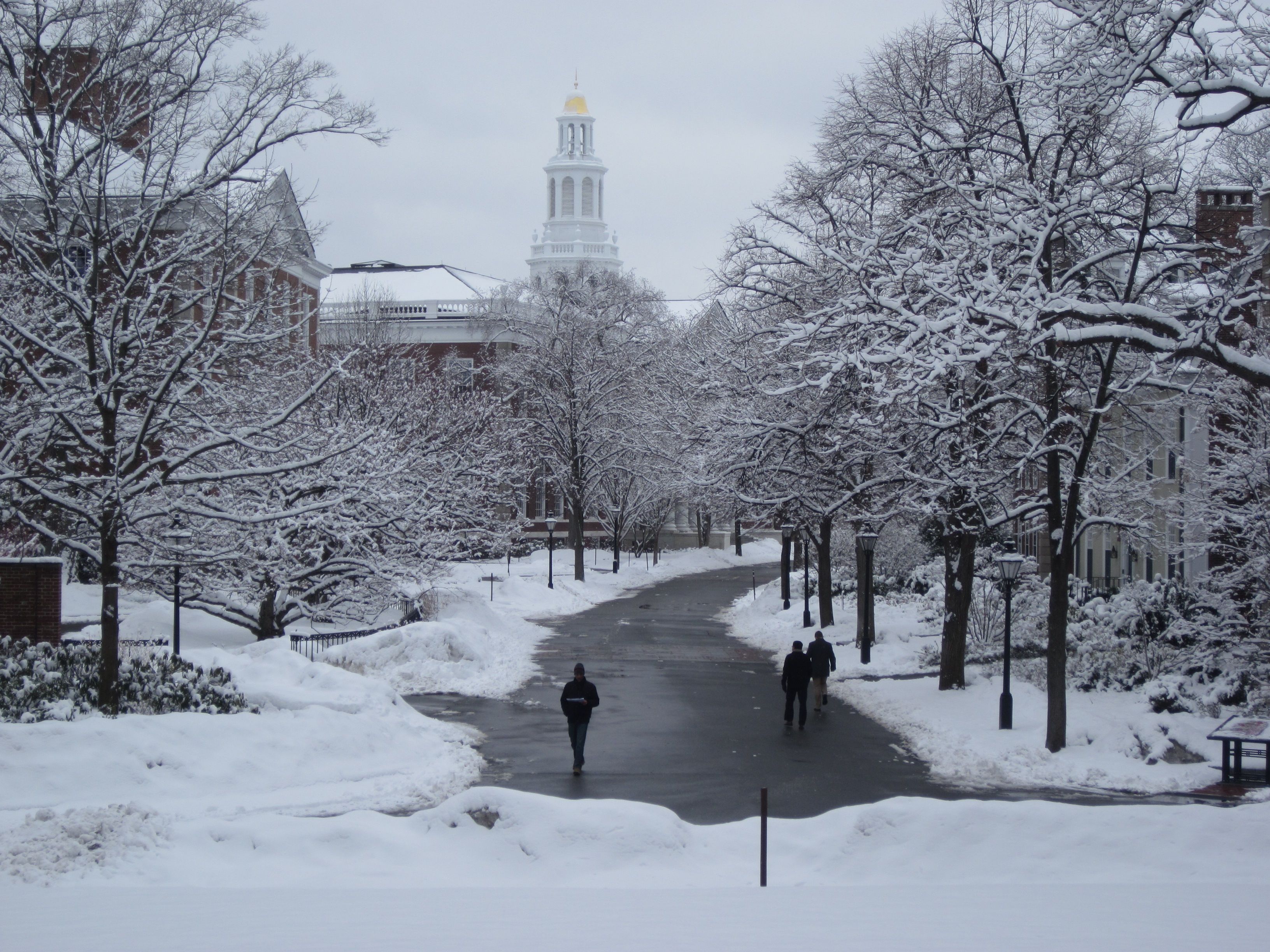 Harvard In The Winter - 3264x2448 Wallpaper - teahub.io
