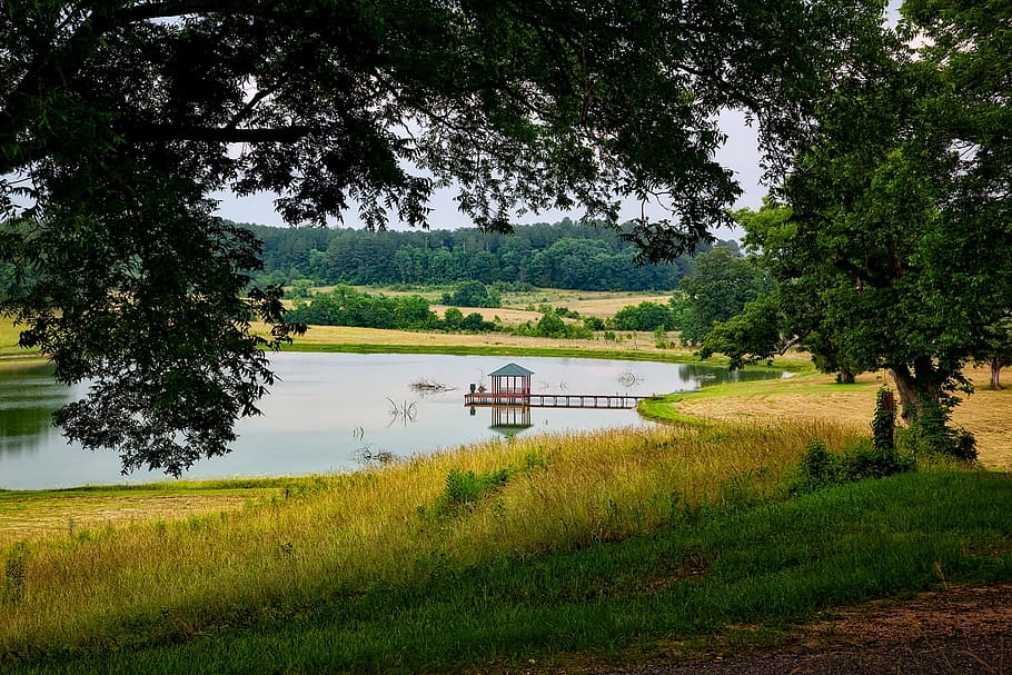 Thornhill Plantation, Alabama, Landscape, Scenic, Pond, - Alabama ...