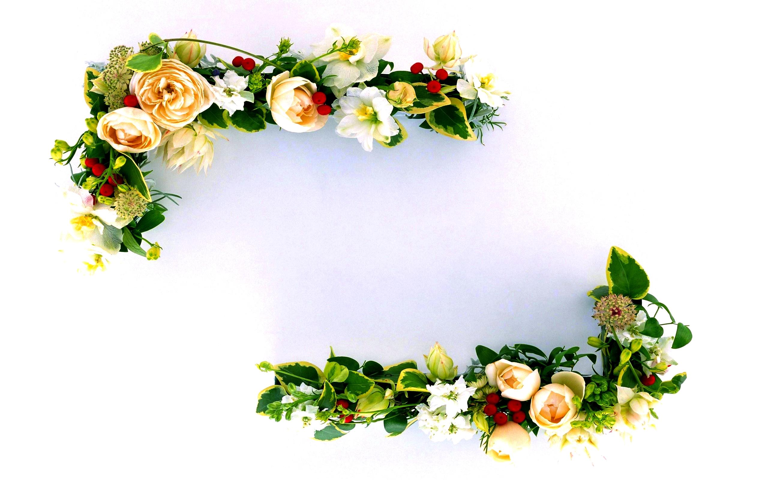 Spring Frame - Frem Photo Of Flower - 2560x1600 Wallpaper - teahub.io