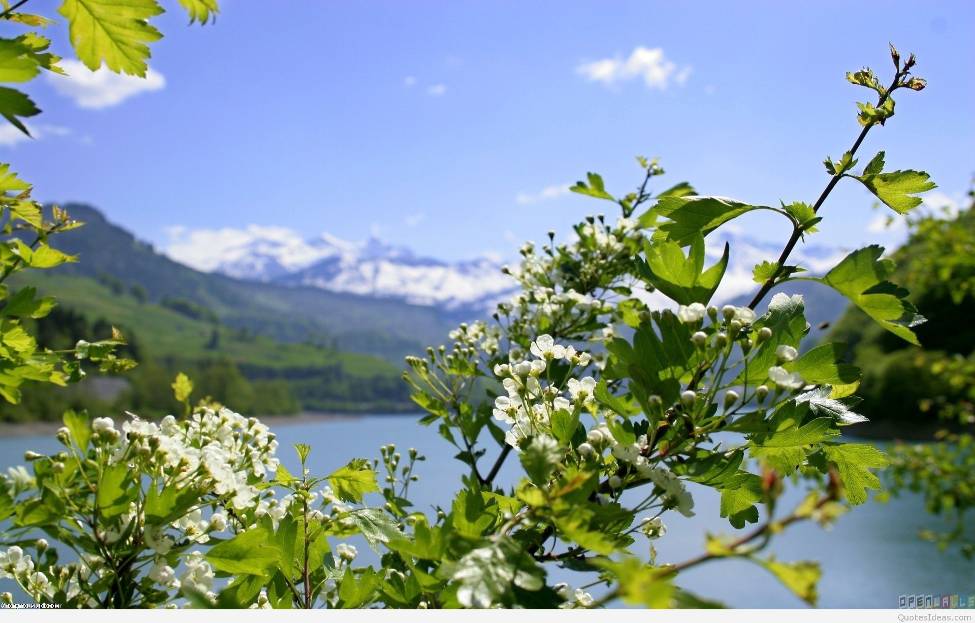 Spring Nature - 1920x1227 Wallpaper - teahub.io