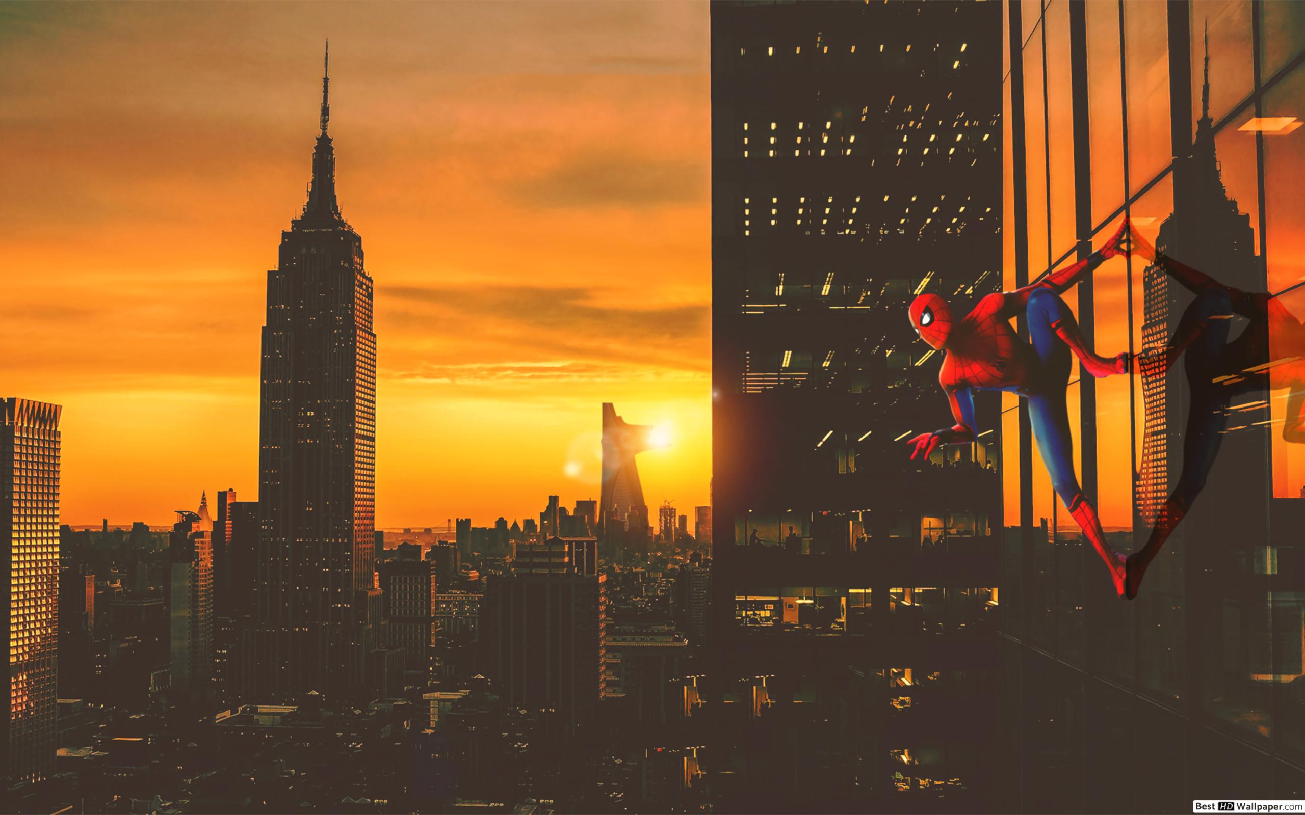 Building And Sunset Background - 2560x1600 Wallpaper - teahub.io