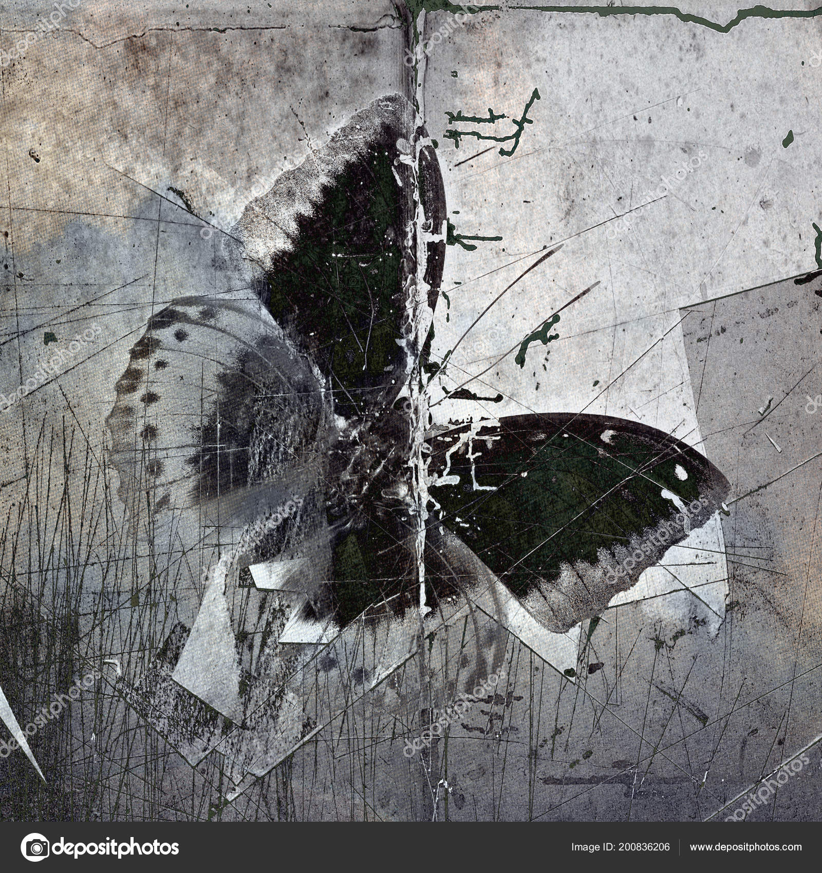 Grunge Butterfly - 1600x1700 Wallpaper - teahub.io