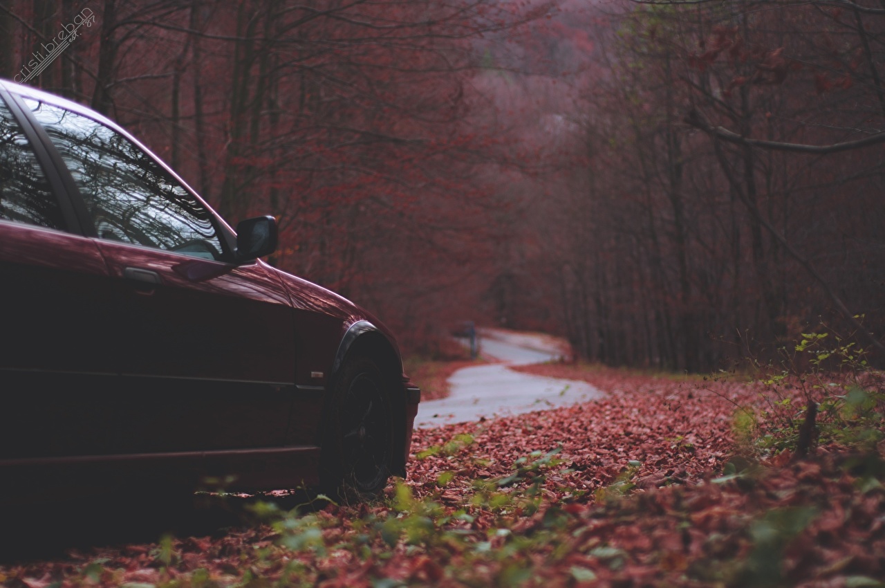 Bmw Wallpaper In Fall - 1280x850 Wallpaper - teahub.io