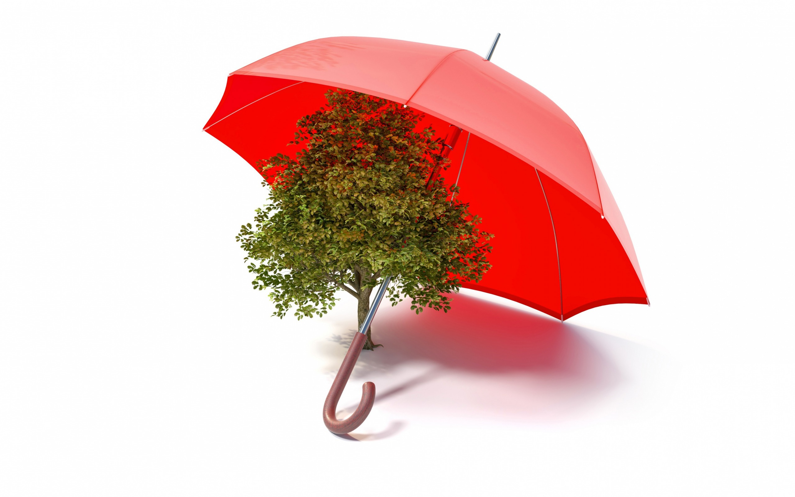 Protect The Environment, Save Earth, Ecology Concepts, - Protect Tree ... Protect The Environment, Save Earth, Ecology Concepts, - Protect Tree ...