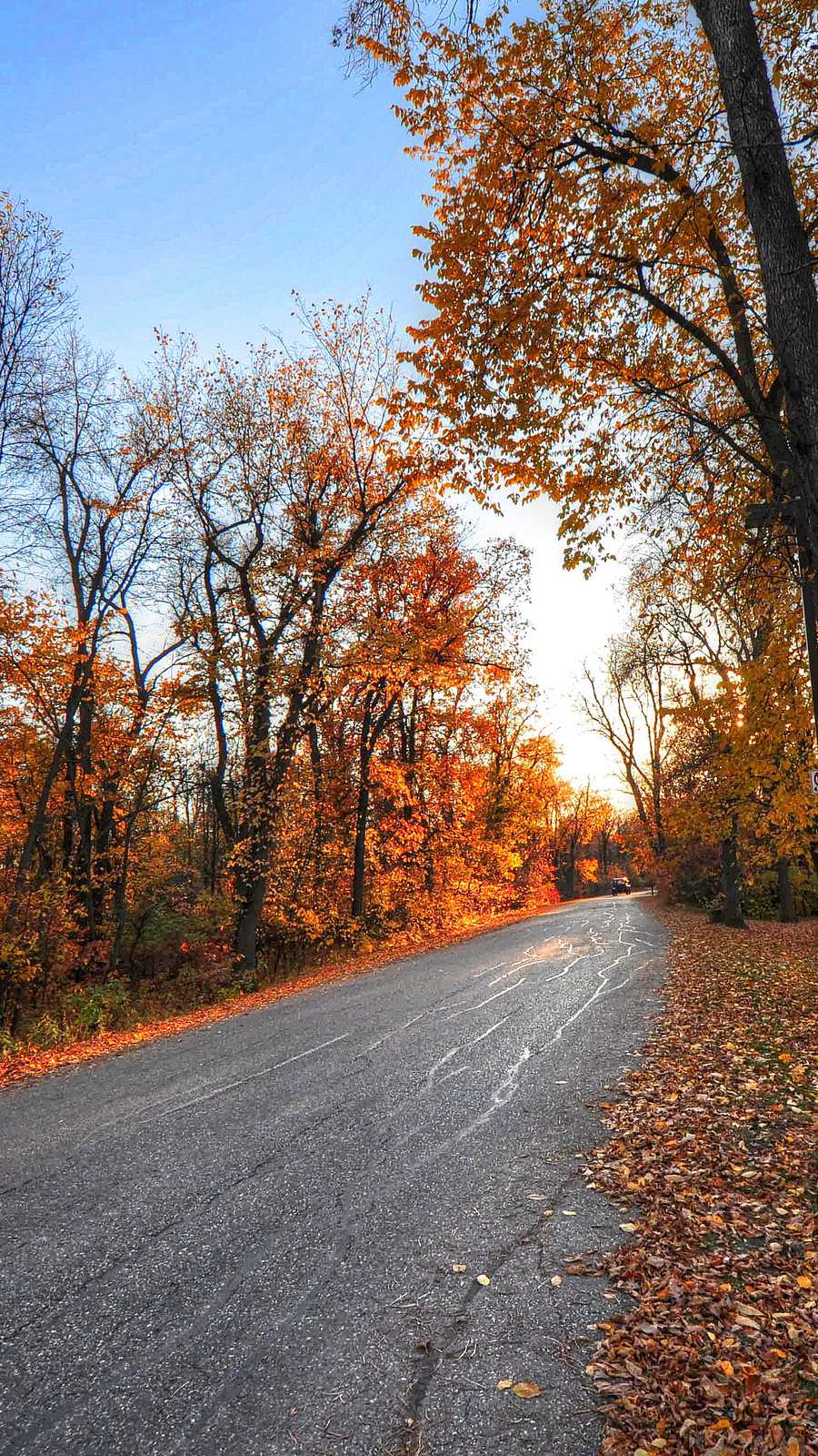 Road Wallpaper Hd Portrait - 900x1600 Wallpaper - teahub.io