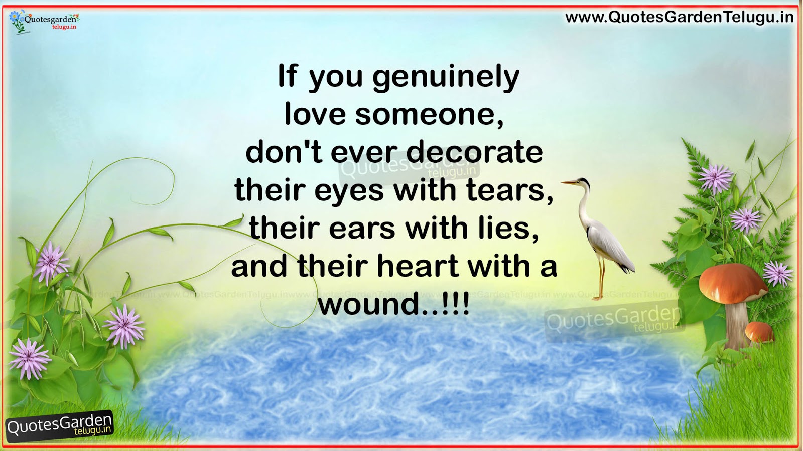 Wallpaper - 1600x900 Wallpaper - teahub.io