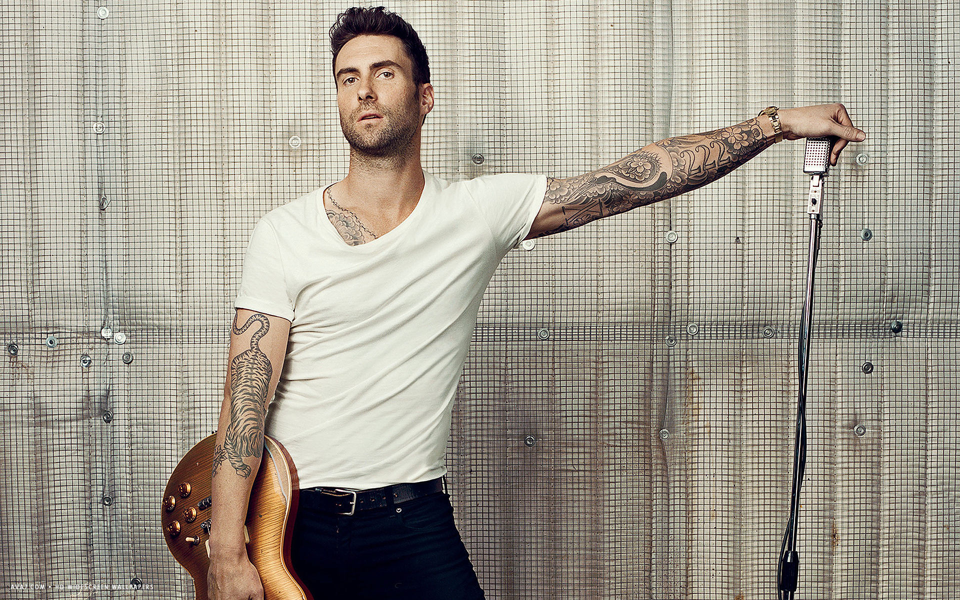 Adam Levine Wallpaper Desktop - 1920x1200 Wallpaper - teahub.io