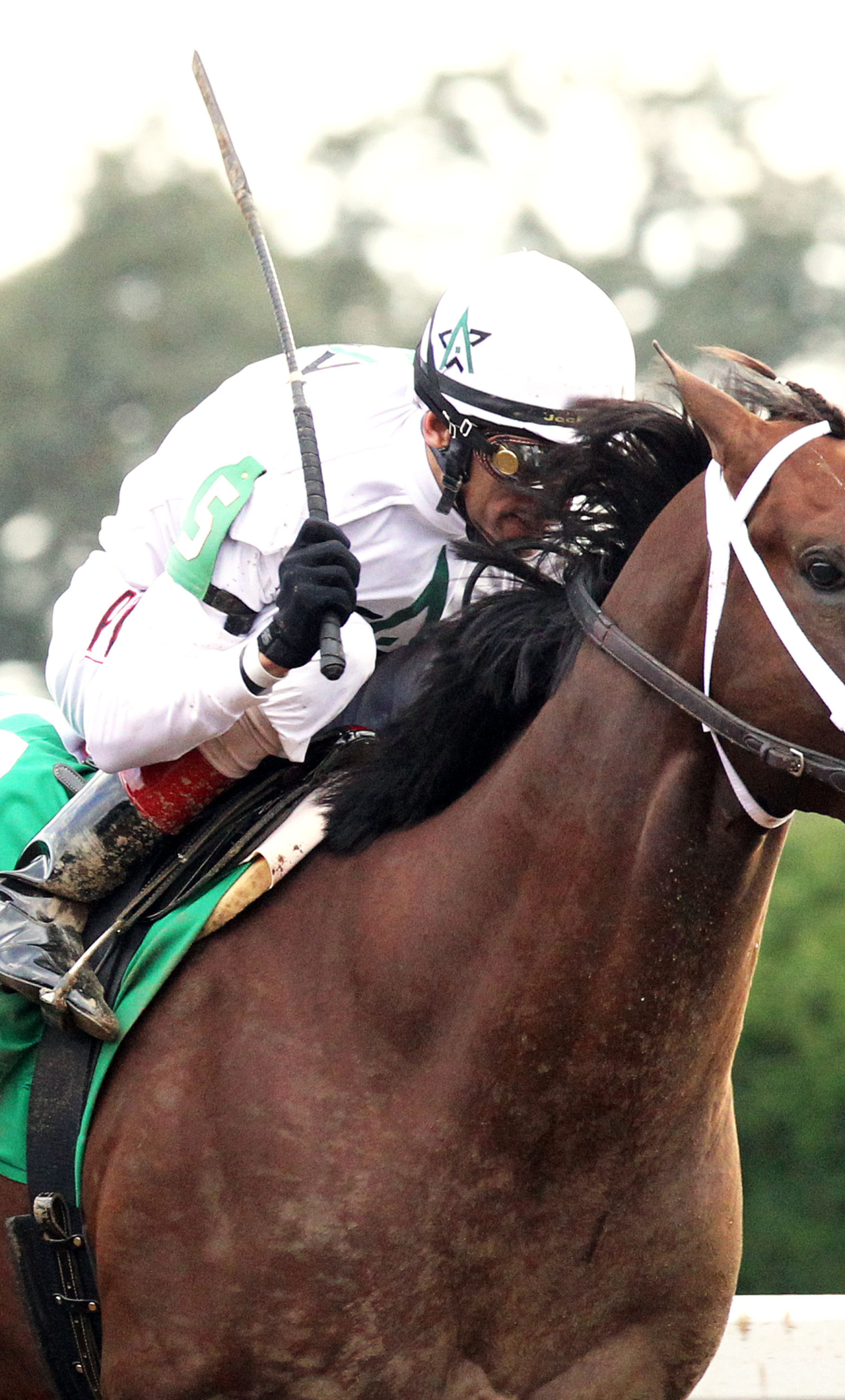 Imagenes Horse Carpe Diem - 1280x2120 Wallpaper - teahub.io