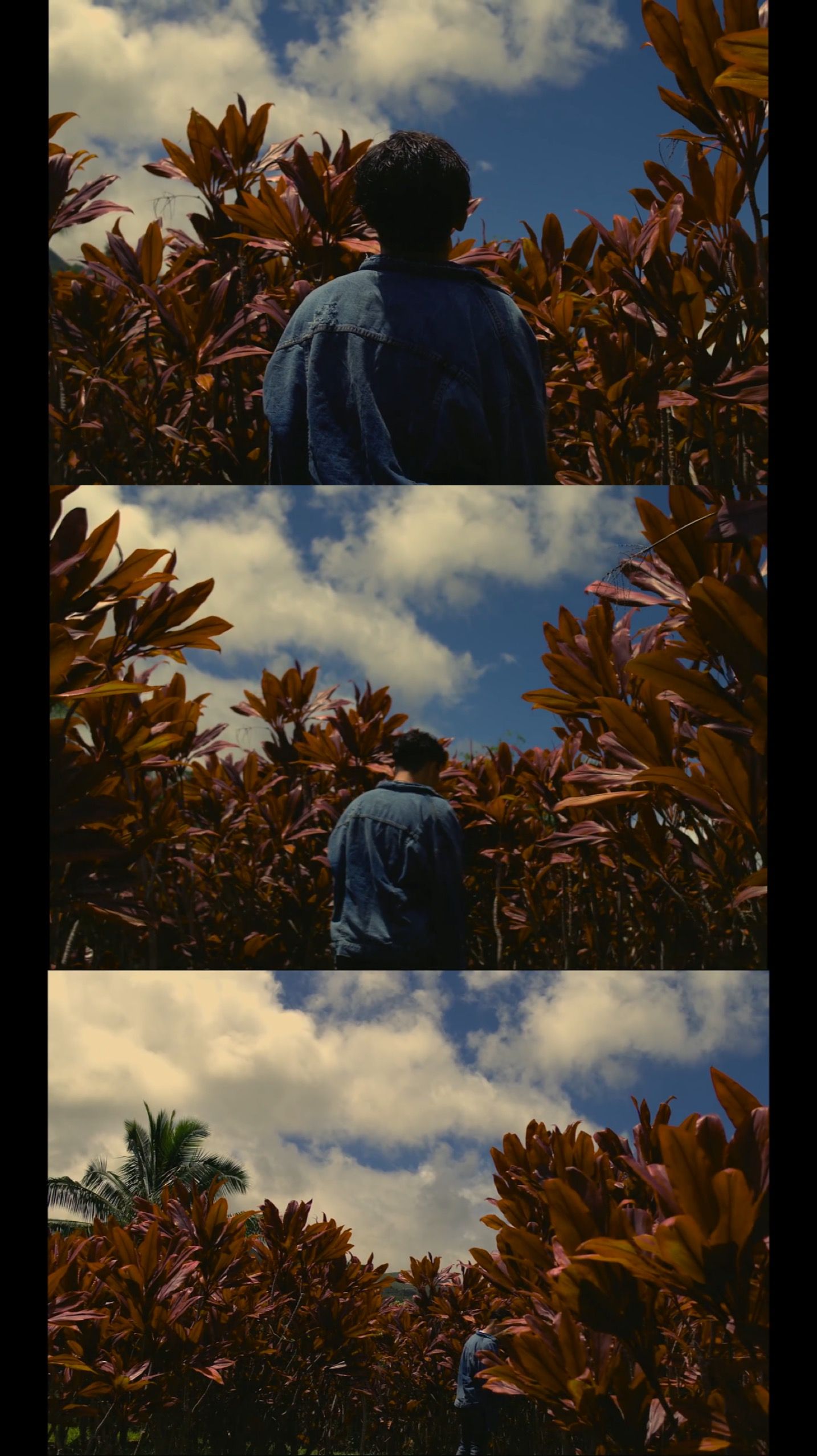 Dpr Live - 1434x2556 Wallpaper - teahub.io