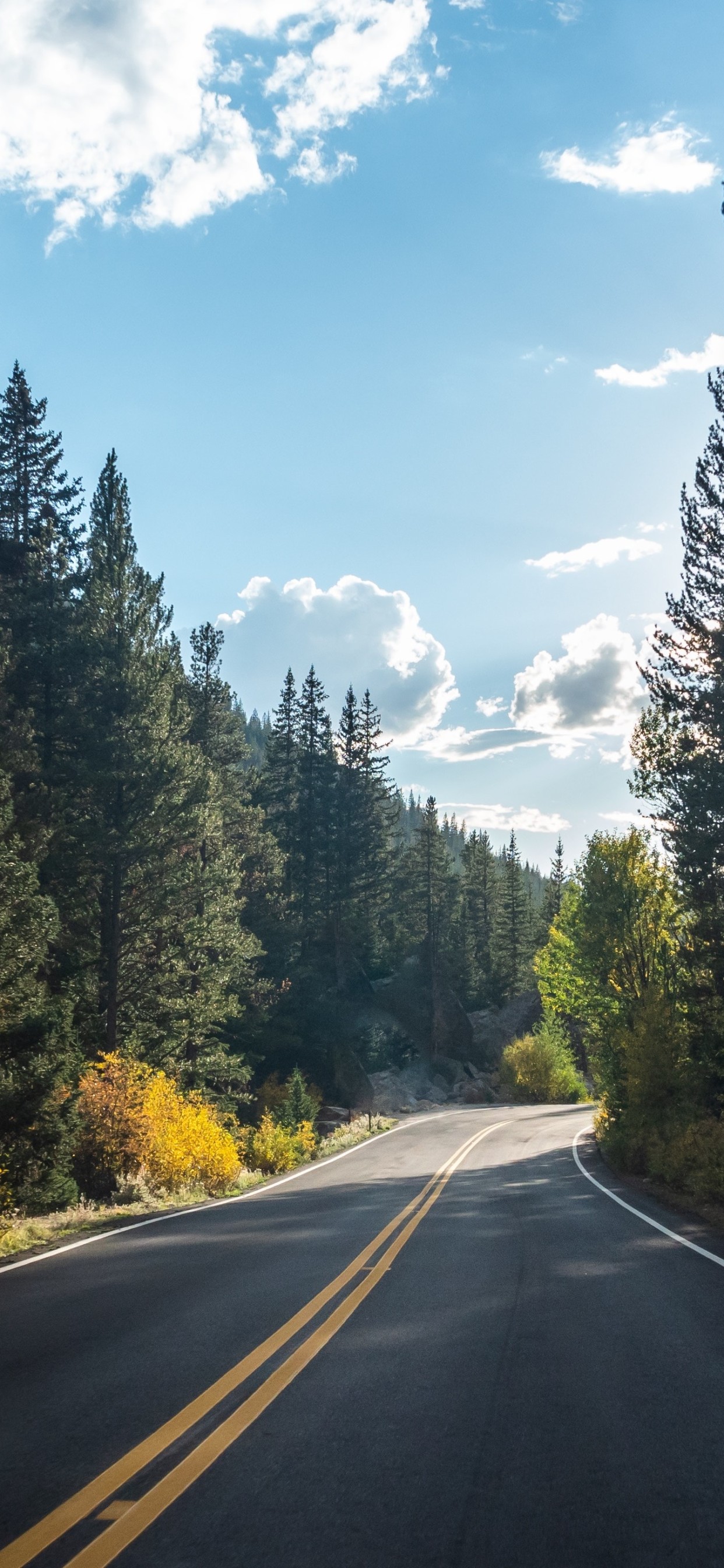 Freeway - 1242x2688 Wallpaper - teahub.io