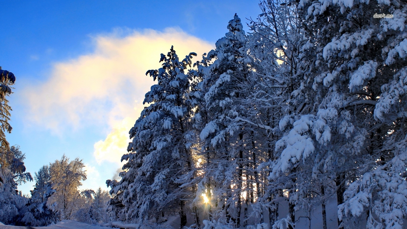 Wallpaper - 1366x768 Wallpaper - teahub.io