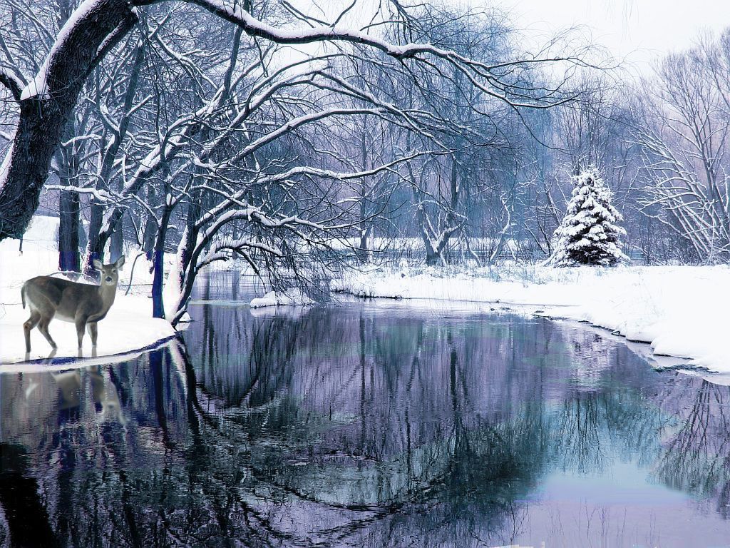Winter Scene Picture, Winter Scene Wallpapers - Peaceful Winter Scene ...