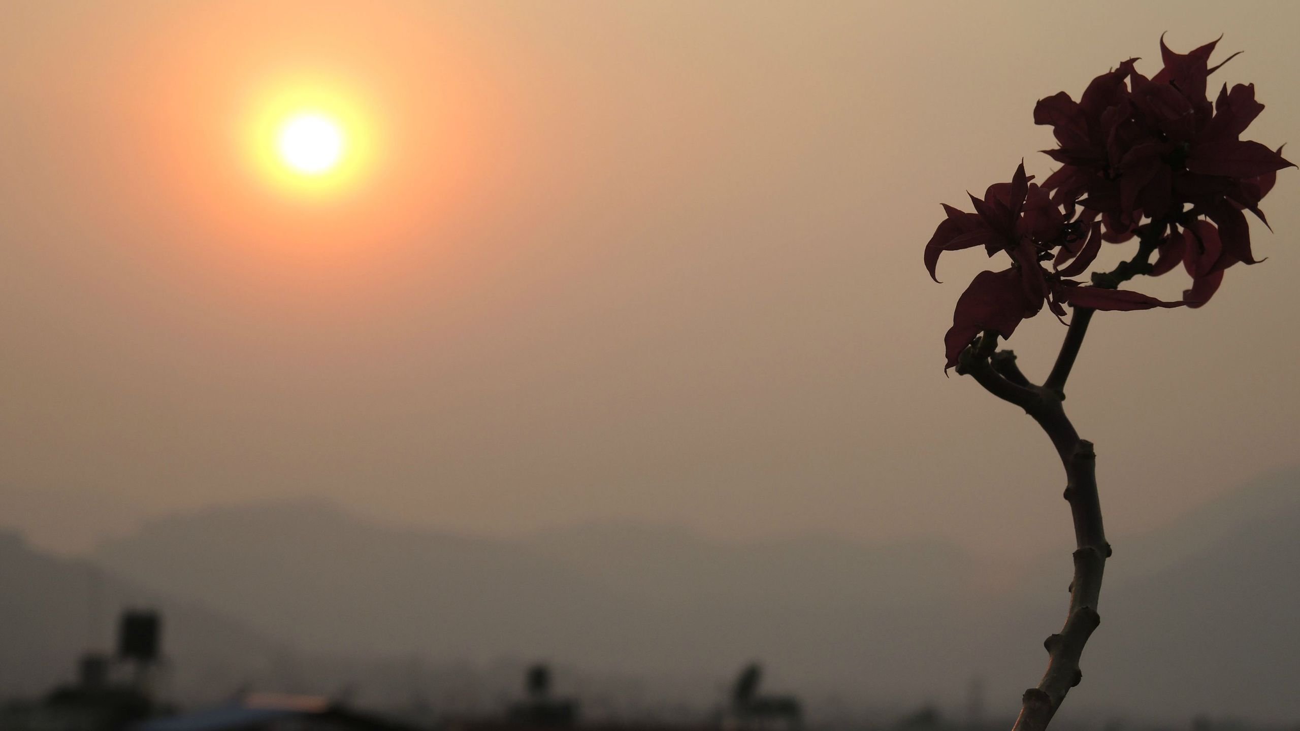 Kathmandu Sunset Nepal Wallpaper - Sun - 2560x1440 Wallpaper - teahub.io