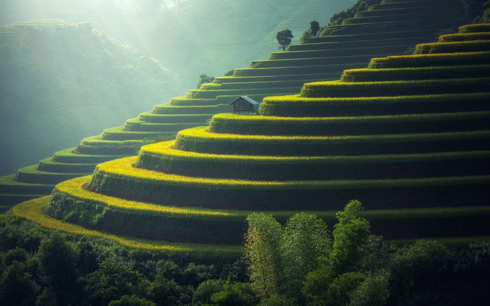 Wallpaper Beautiful Rice Field, Slope, House, Countryside - Terrace ...