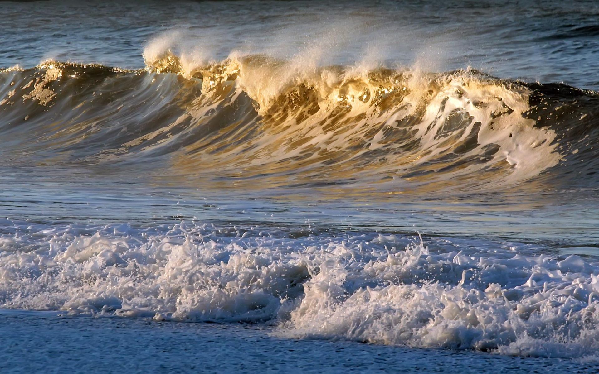 Golden Wave Surf Wallpaper - Beach Wave - 1920x1200 Wallpaper - teahub.io