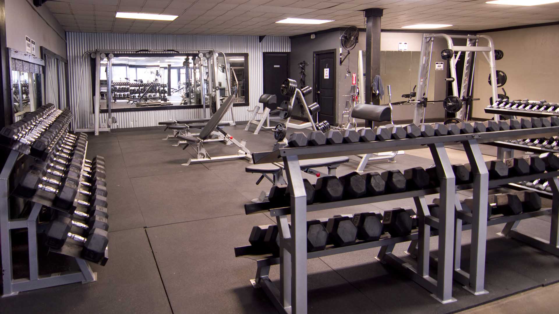 Free Weights Section Of Gym - 1920x1080 Wallpaper - teahub.io