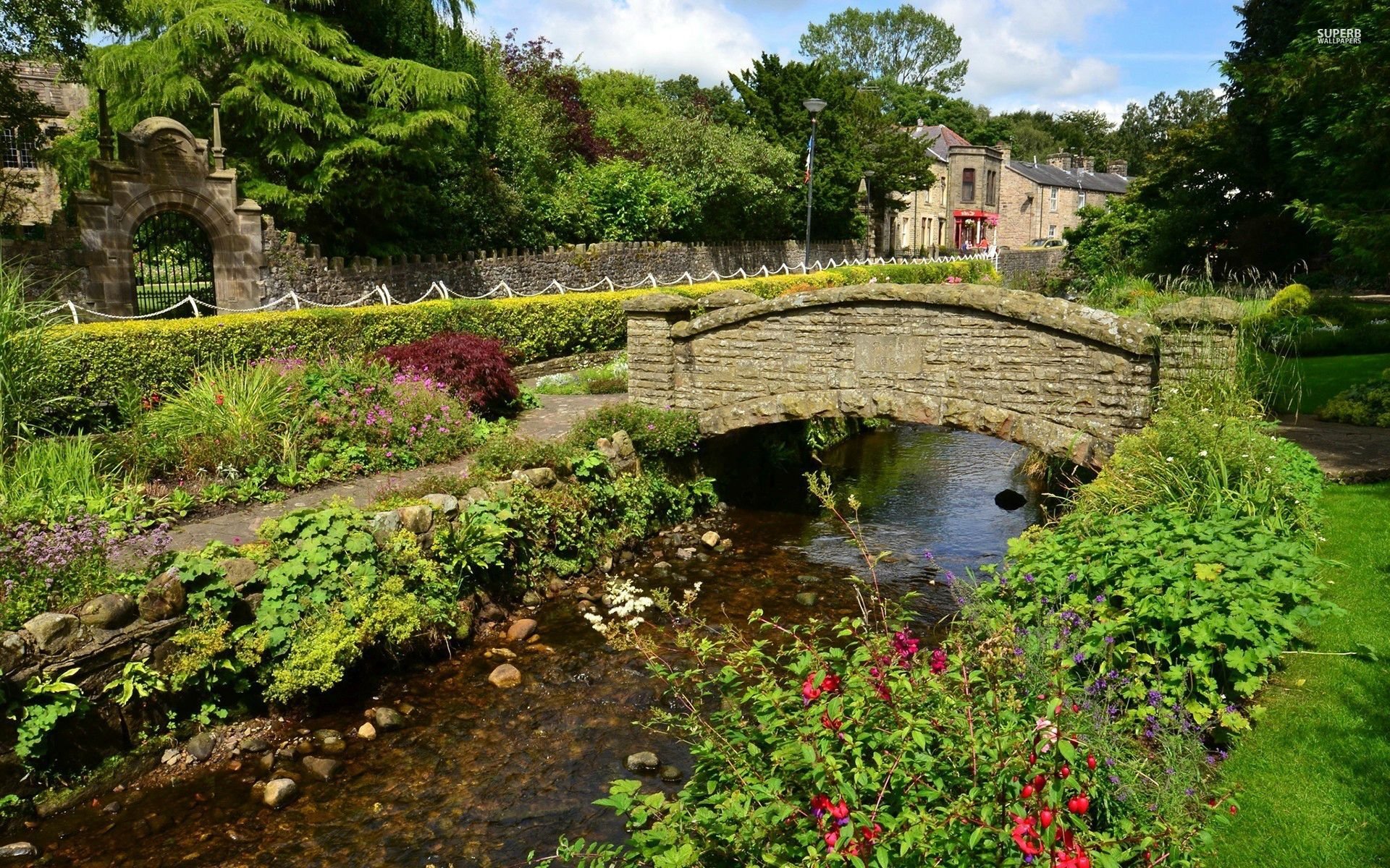 Amazing Nature On The Side Of The Small Town River - Botanical Garden ...