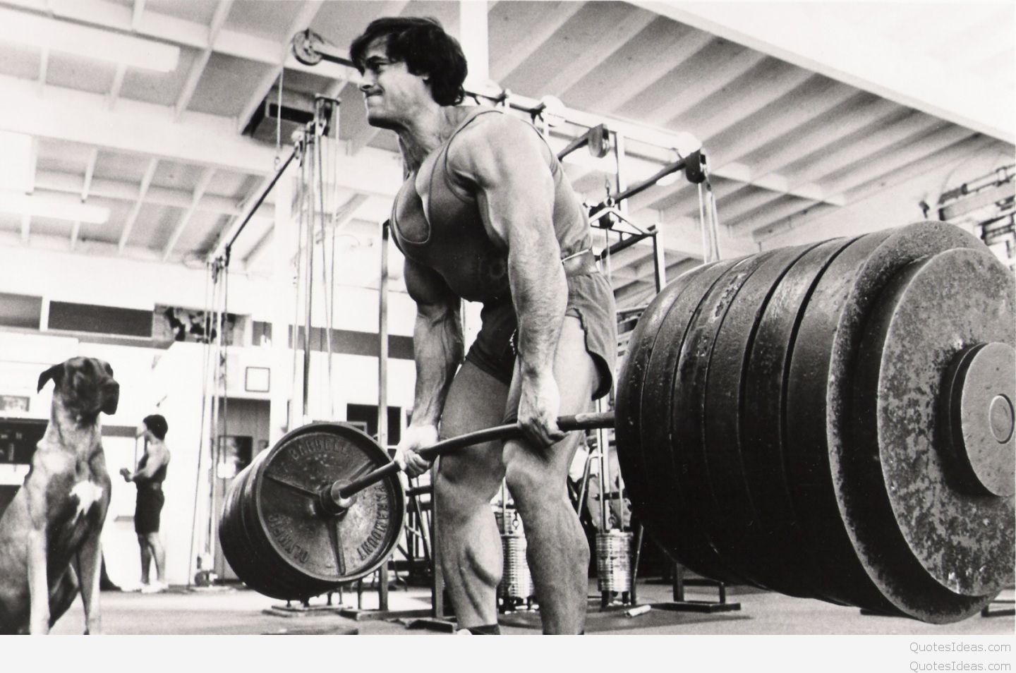 500 Pounds Of Weights - 1440x954 Wallpaper - teahub.io