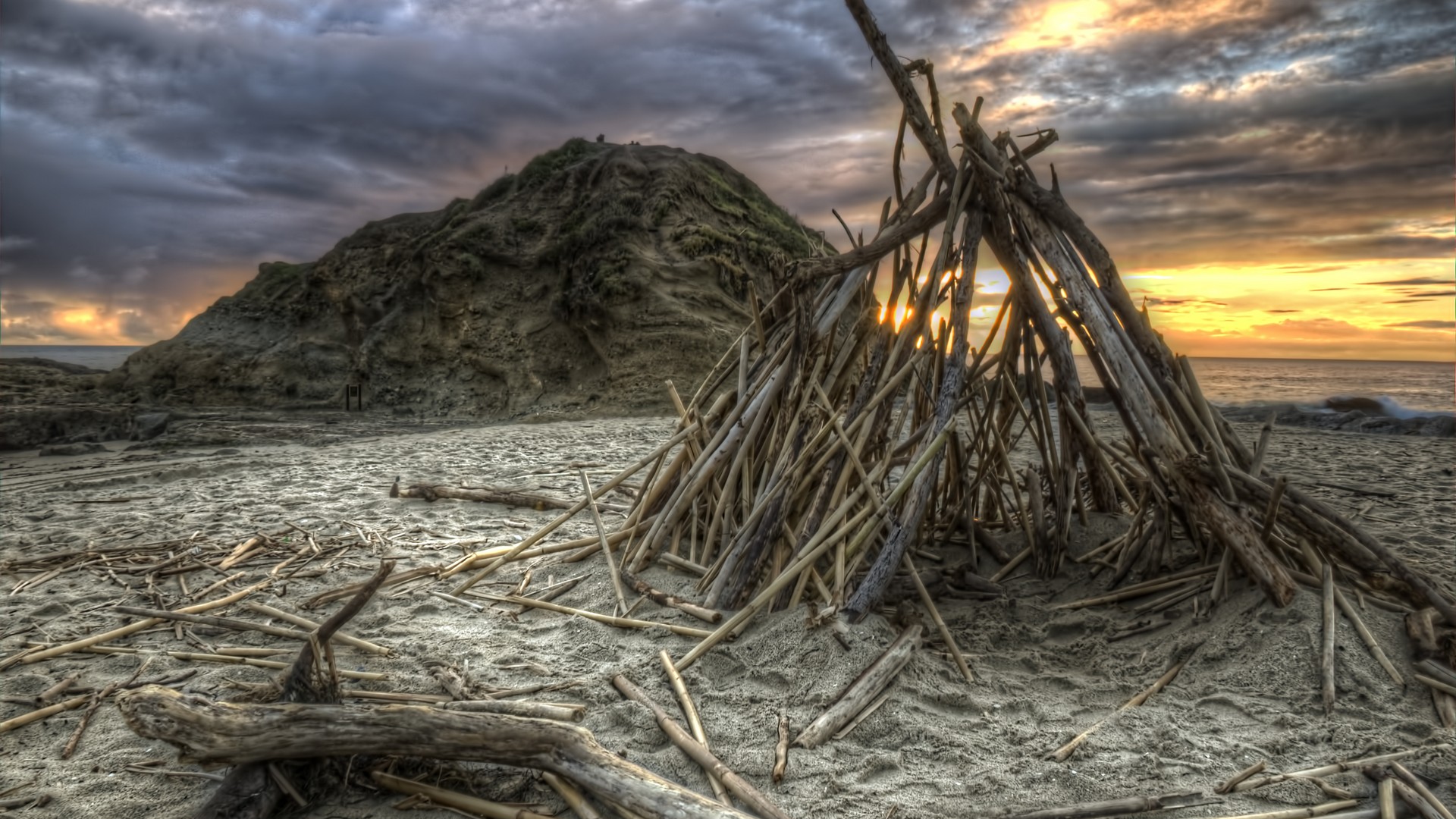 Wallpaper California Beach Debris - Driftwood - 1920x1080 Wallpaper ...