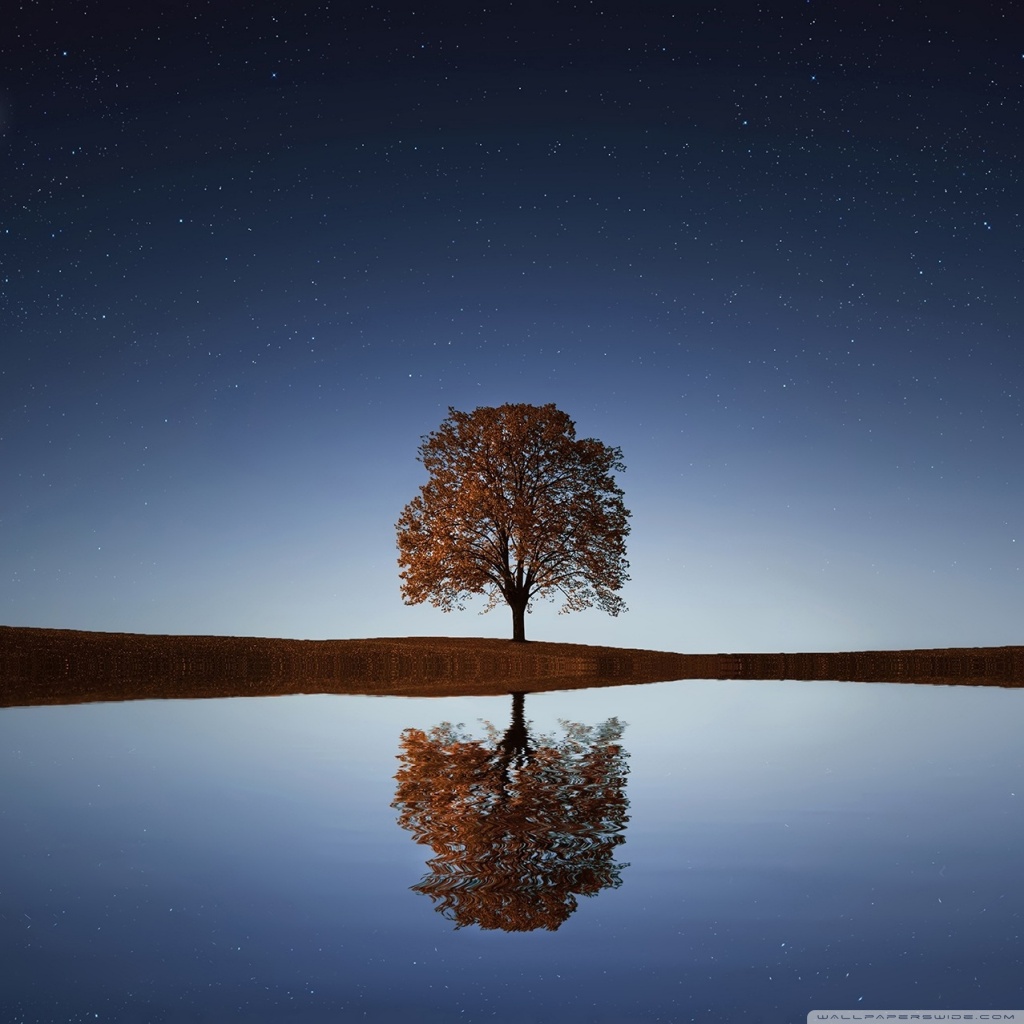 Uske Nazdeek Gham E Tarke Wafa - 1024x1024 Wallpaper - teahub.io