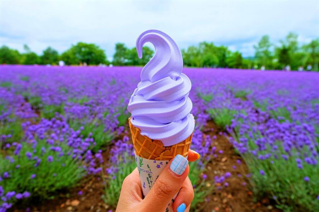 Bunga Lavender Bermekaran Saat Bulan Juli Hingga Agustus - Lavender ...