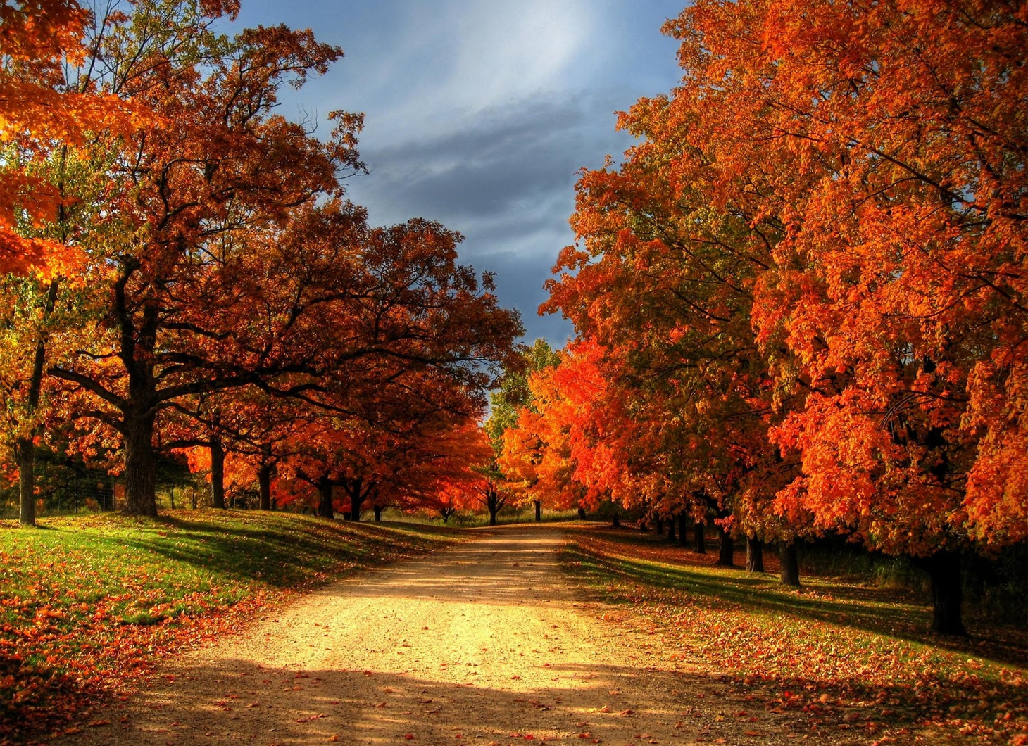Fall Season - 1460x1060 Wallpaper - teahub.io