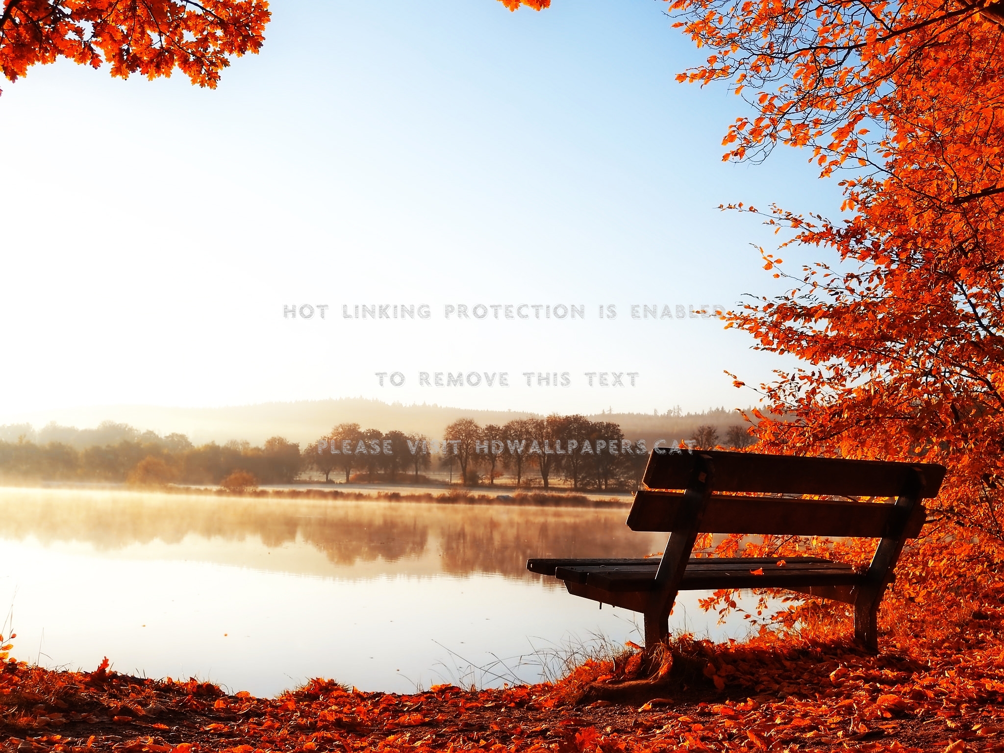 Pond View Autumn Lake Fall Nature - Bench - 2048x1536 Wallpaper - teahub.io